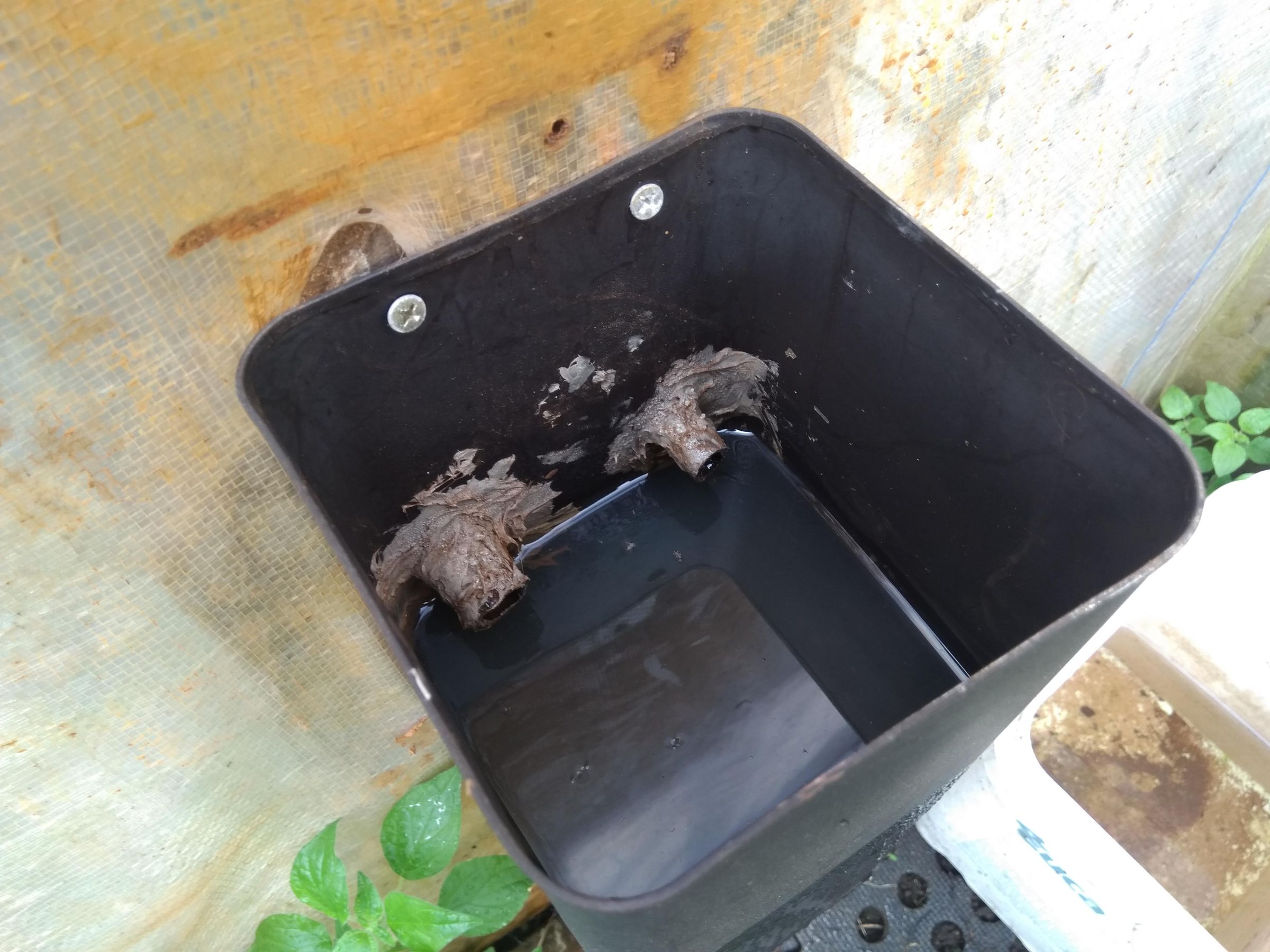 Wood Fired Steam Bath : 4 Steps - Instructables