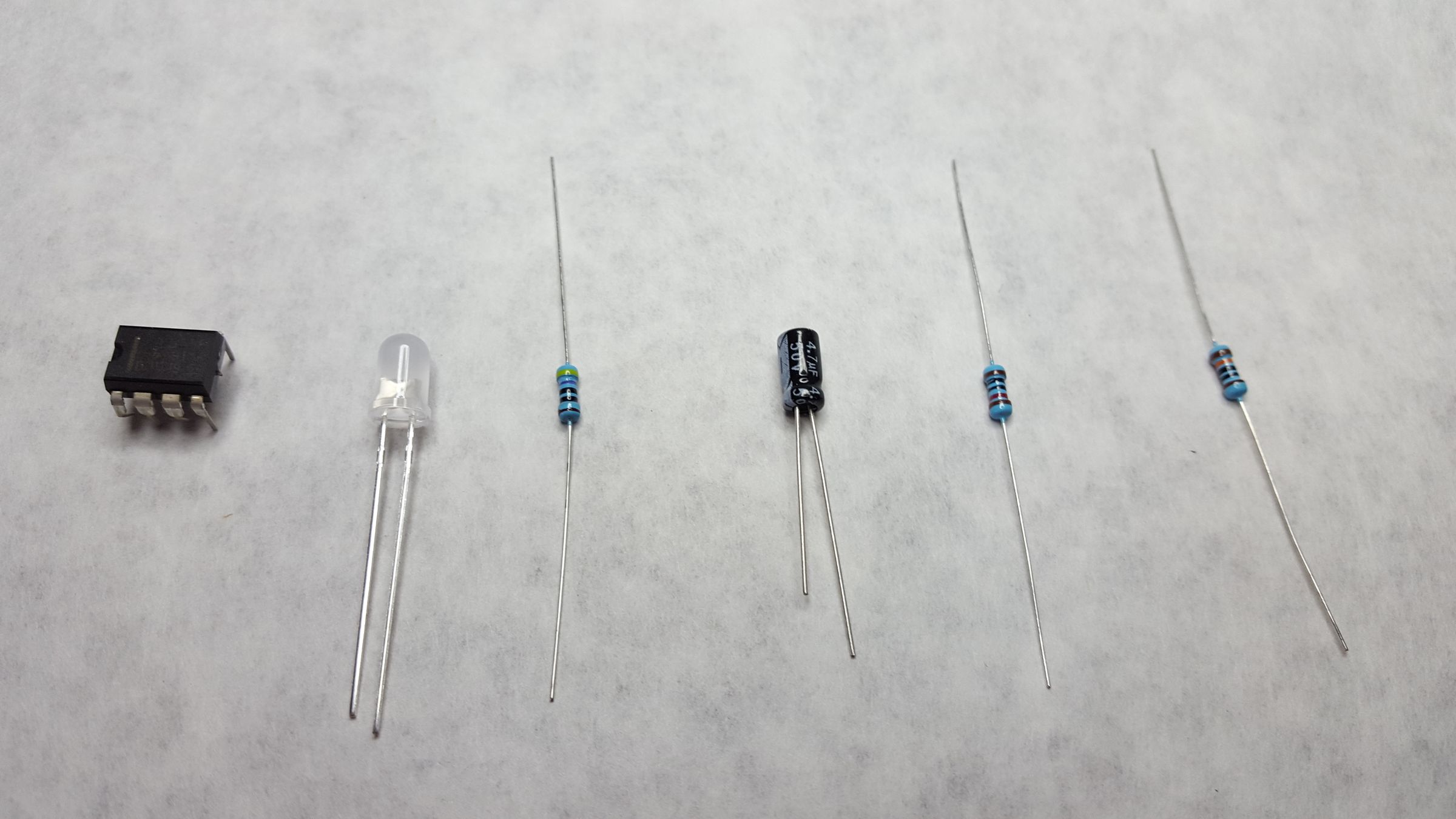 Dead Bug Doggie : 8 Steps - Instructables