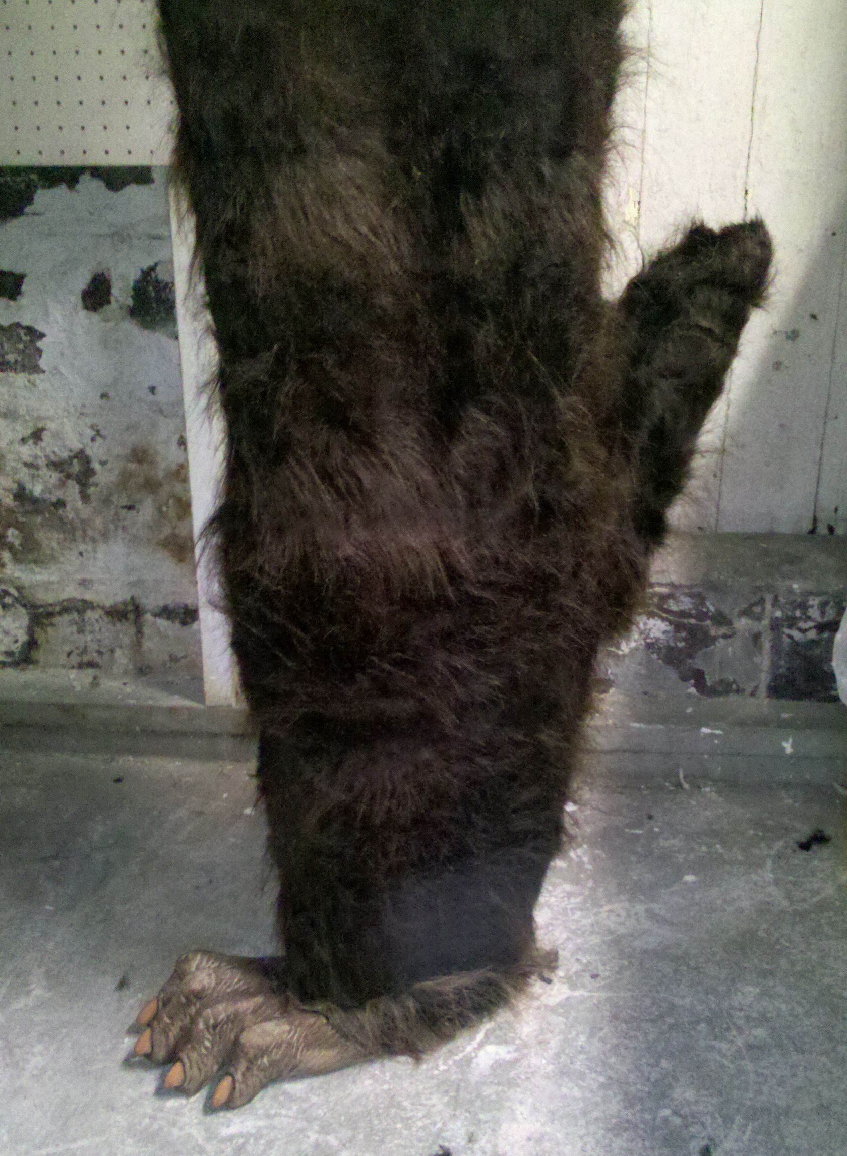 "Creature Reacher" 9 Ft Werewolf Monster Costume : 5 Steps (with ...