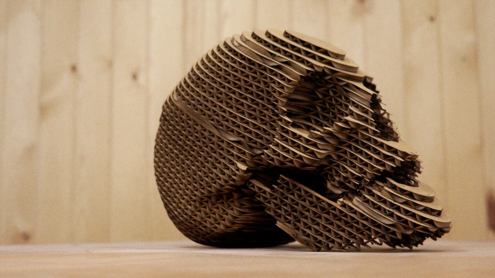 Laser Cutting Cardboard to Make a Human Skull : 14 Steps (with Pictures ...