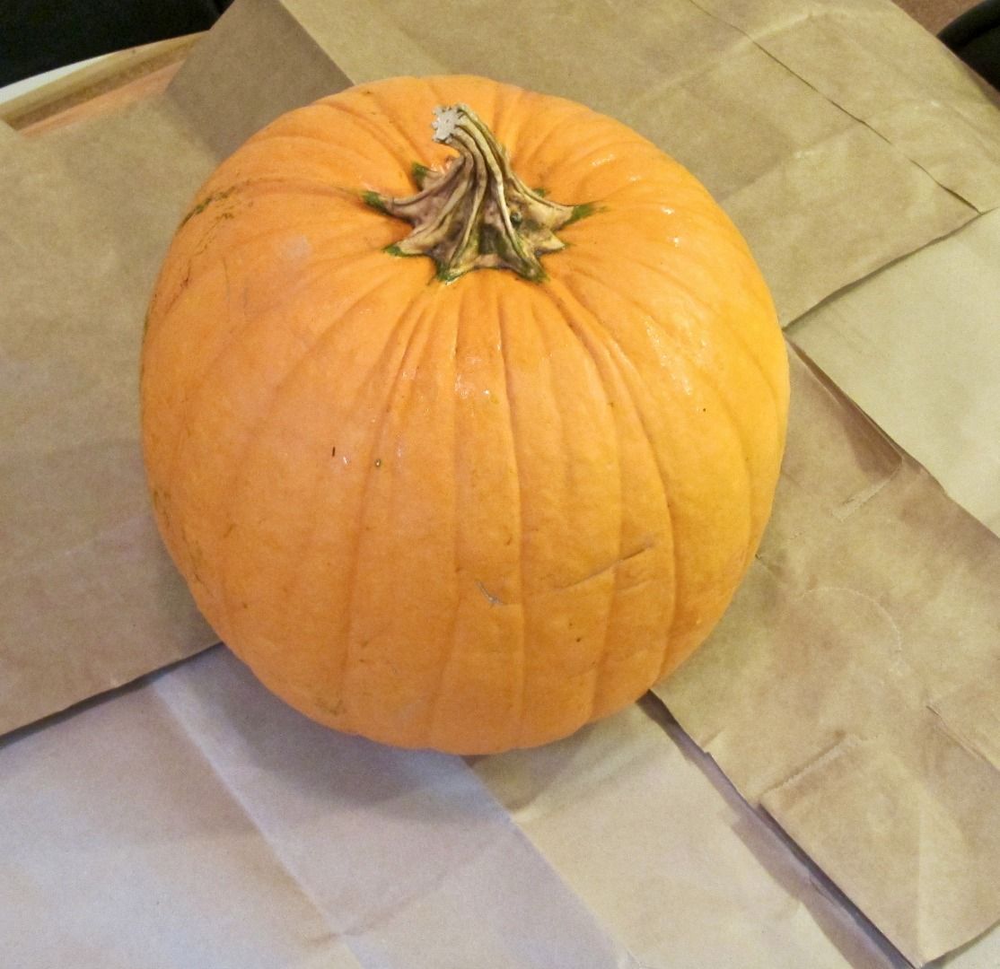 Pumpkin Wine Cooler : 9 Steps (with Pictures) - Instructables