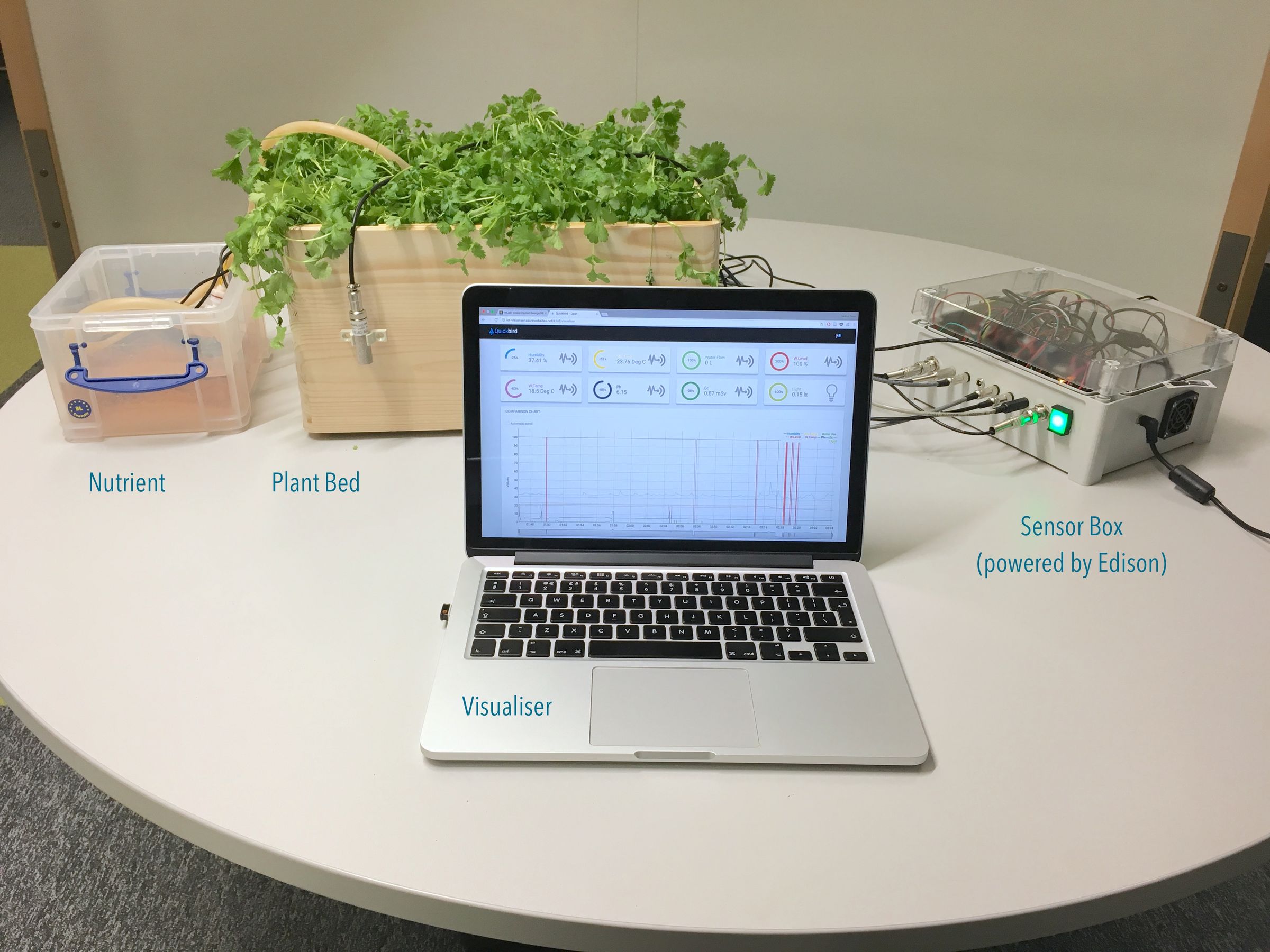 Home Hydroponics Using Quickbird : 5 Steps (with Pictures) - Instructables