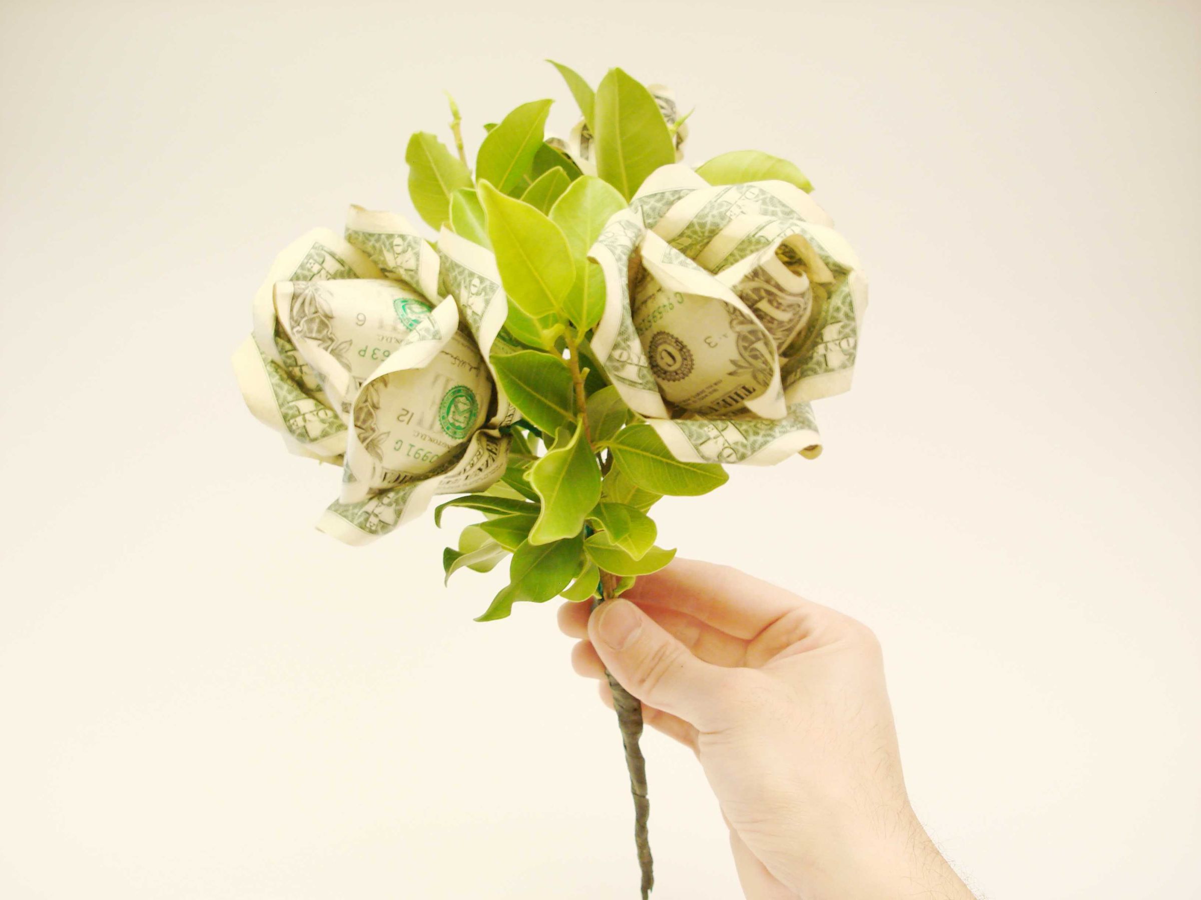 Dollar Bill Flower Bouquet : 7 Steps (with Pictures) - Instructables