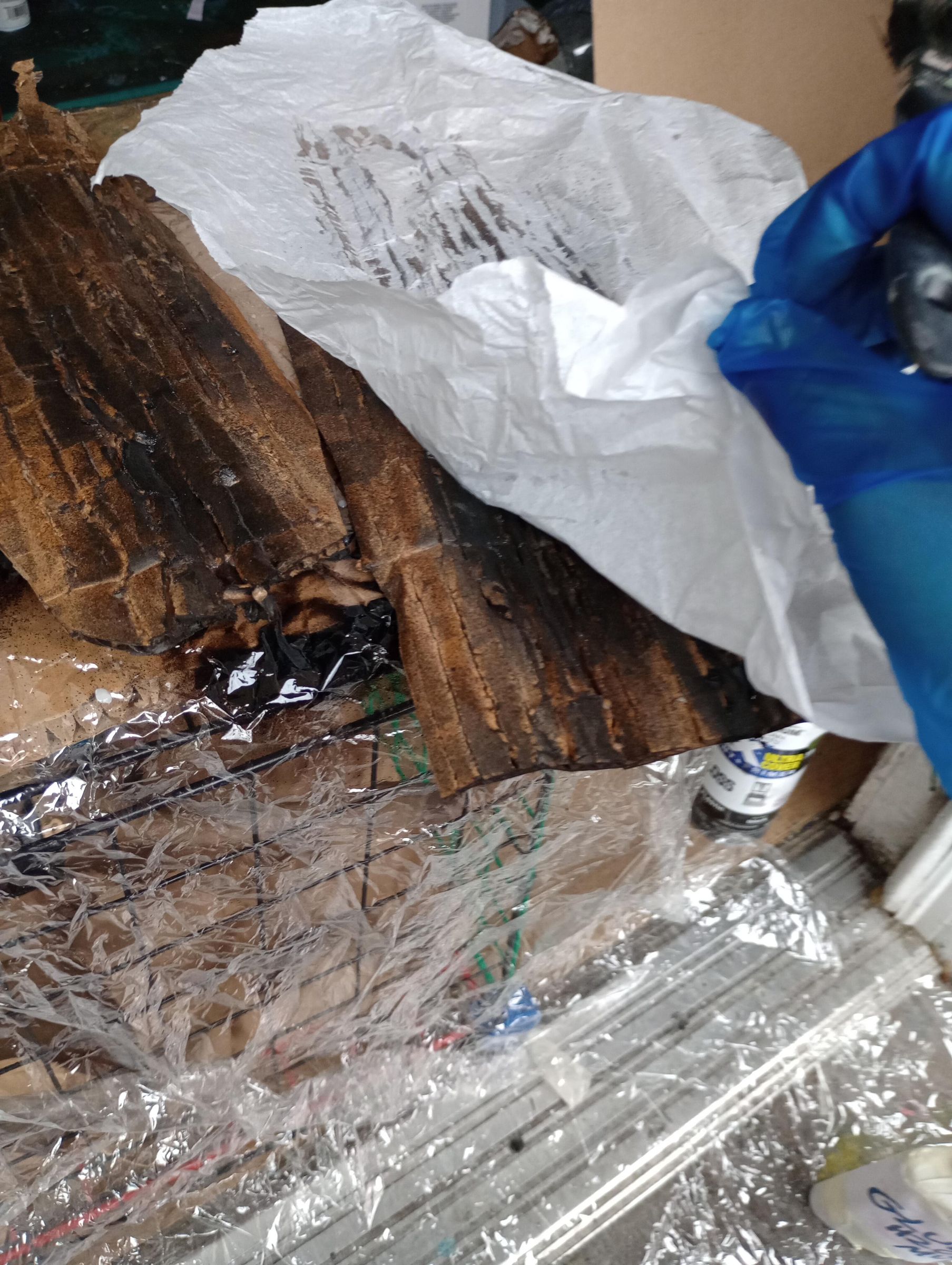 Making Realistic Tree Bark : 7 Steps - Instructables