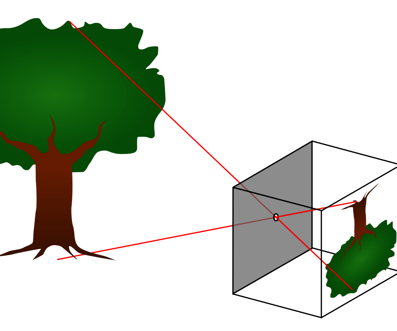 Seal and Snap ;) : Pinhole Camera : 7 Steps - Instructables