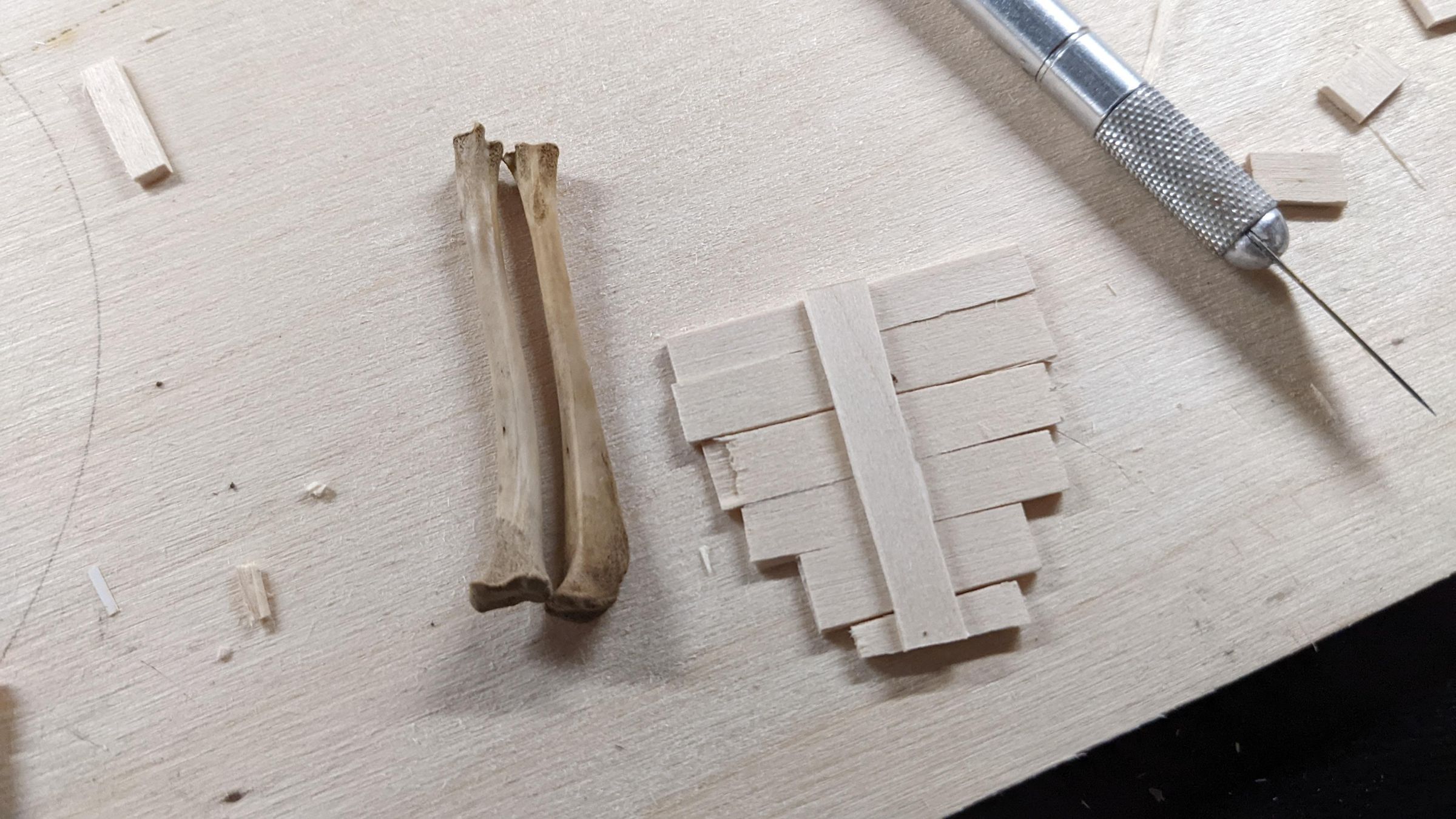 Bone Diorama : 19 Steps (with Pictures) - Instructables