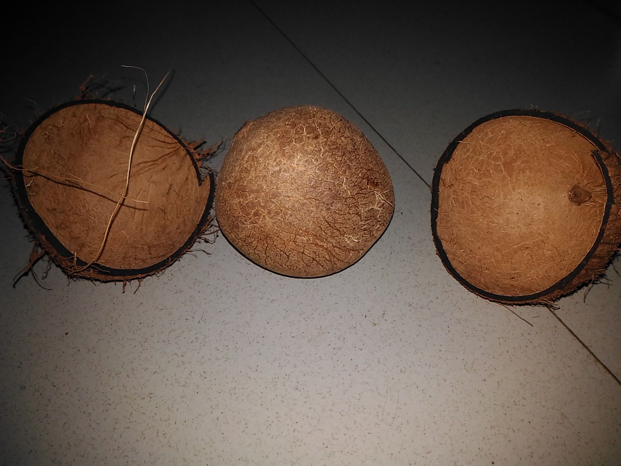 Coconut Chatny : 3 Steps - Instructables