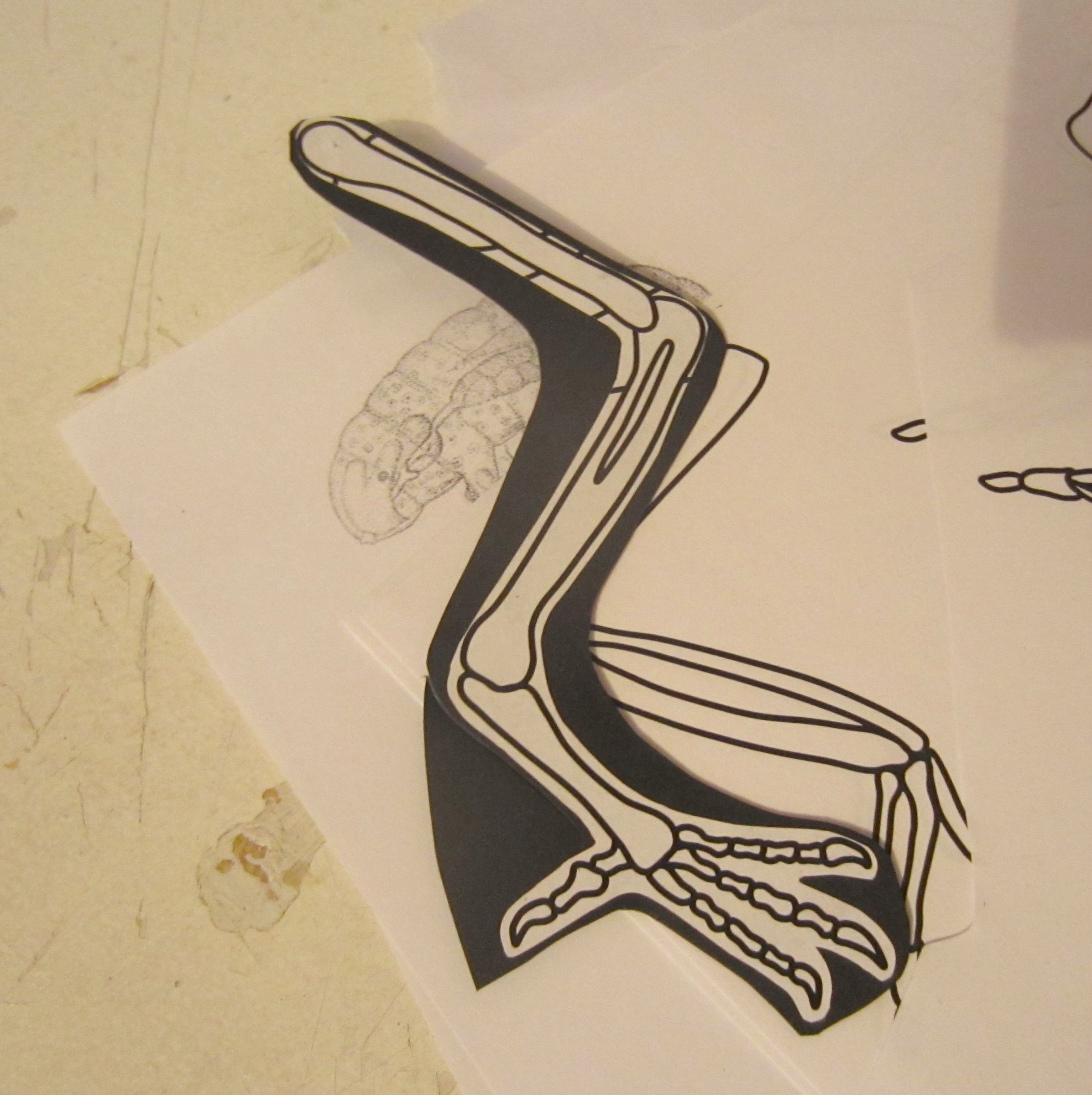 Chicken Skeleton Paper Puppet (with Pictures) - Instructables