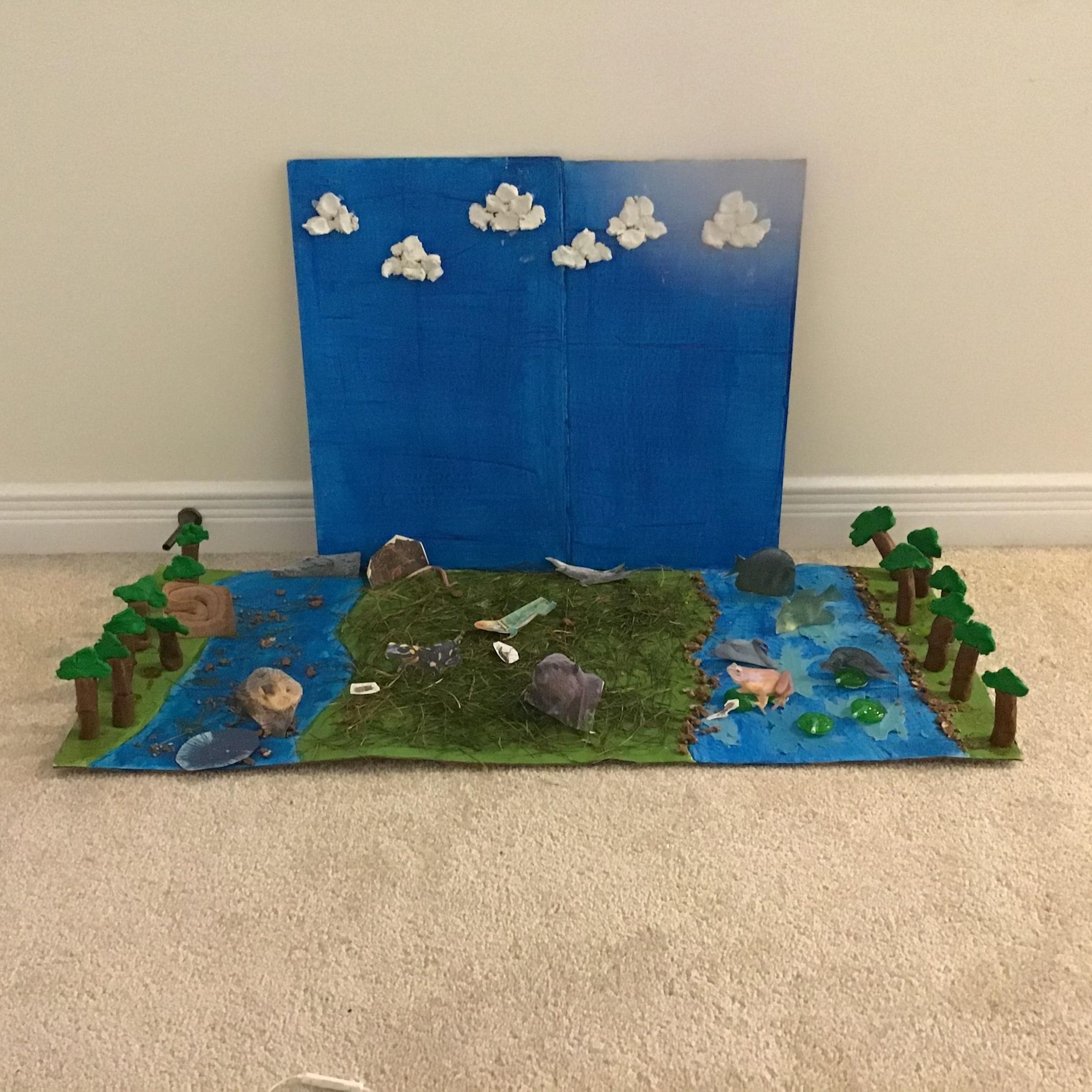 Easy Freshwater Ecosystem With Candy! : 10 Steps - Instructables