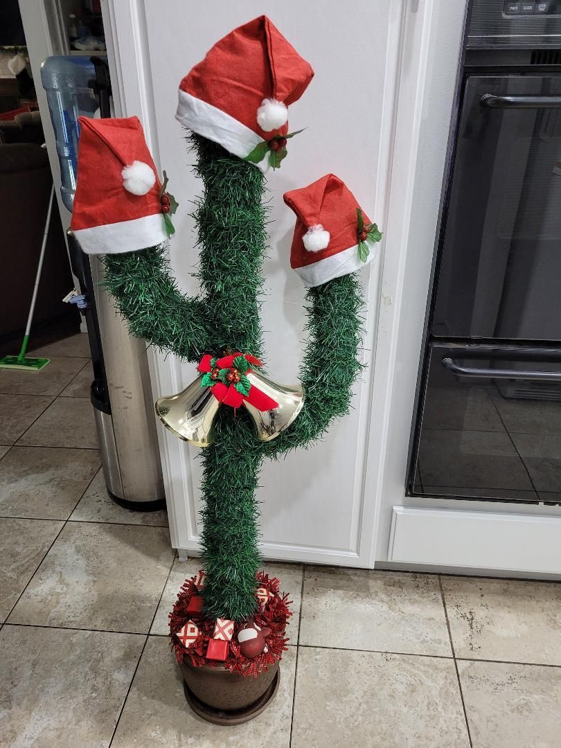 Christmas Cactus : 3 Steps (with Pictures) - Instructables