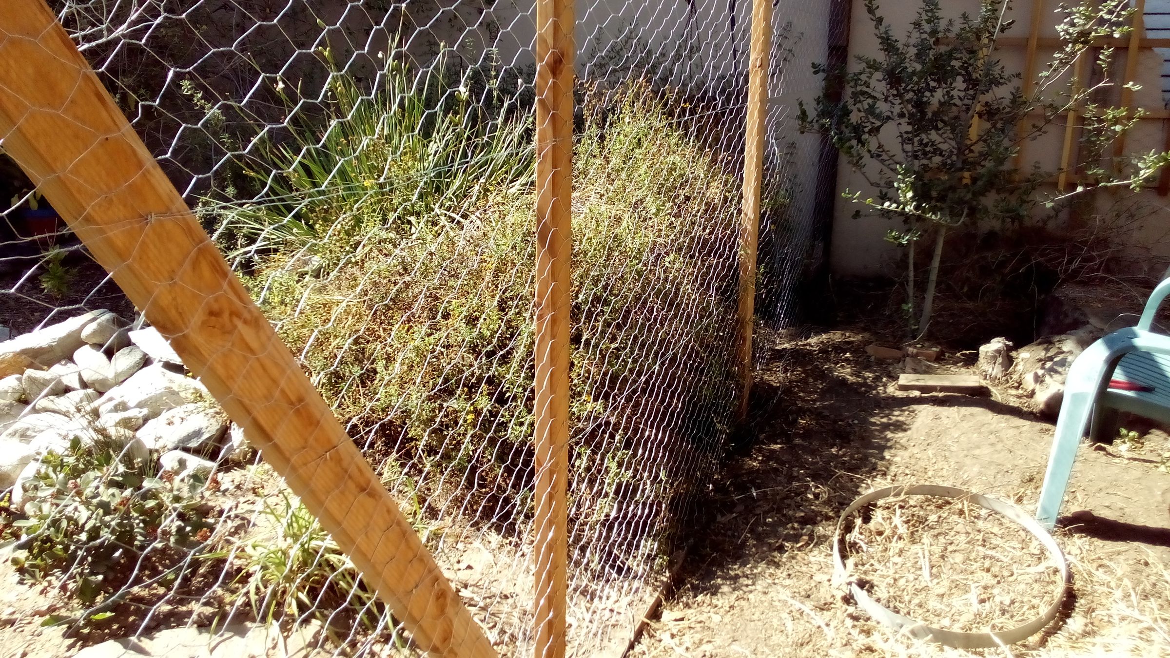 Walk-in Open Air Chicken Coop : 16 Steps (with Pictures) - Instructables