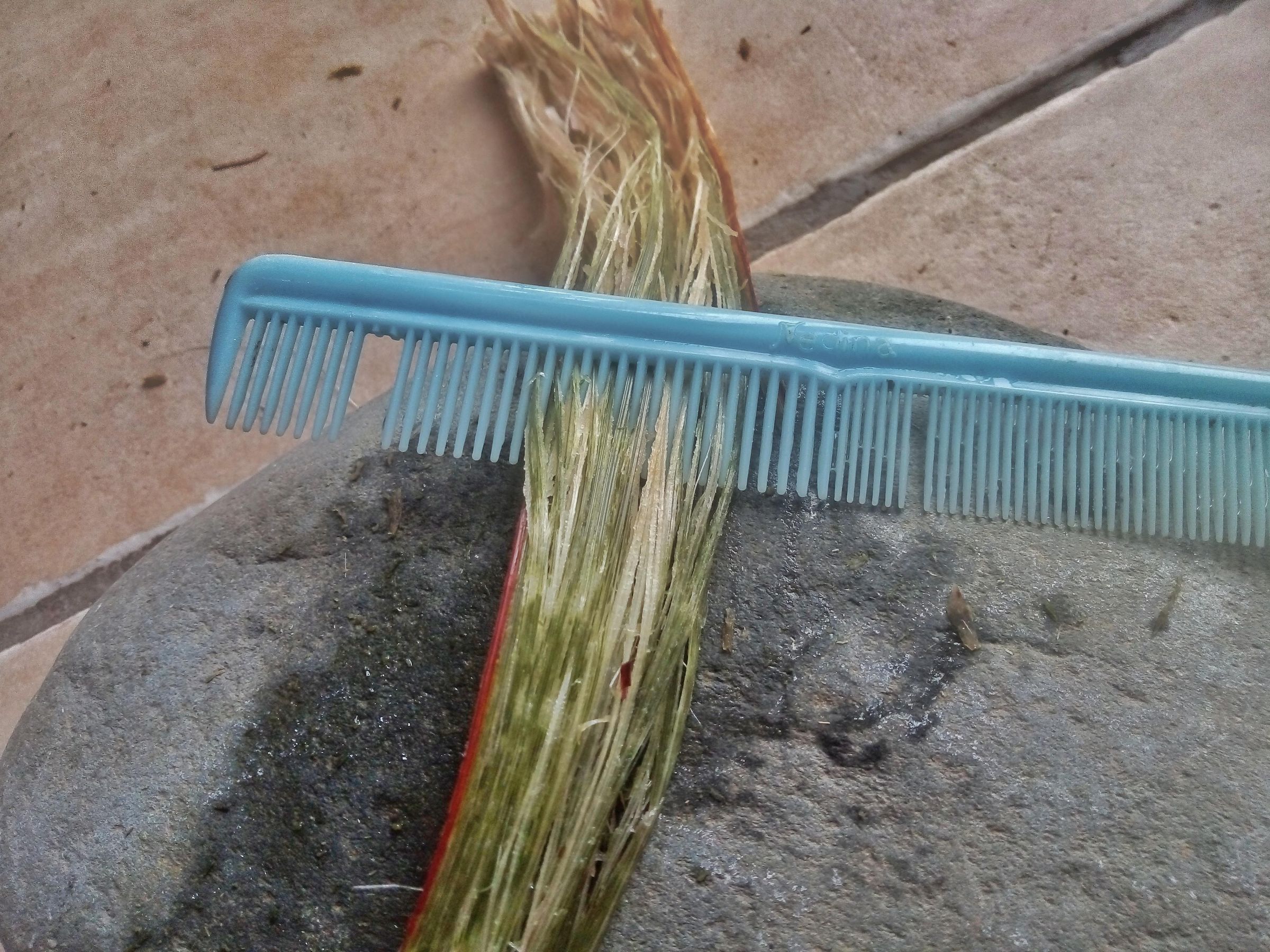 How to Make Rope / String With Natural Plant Fibers : 6 Steps (with ...