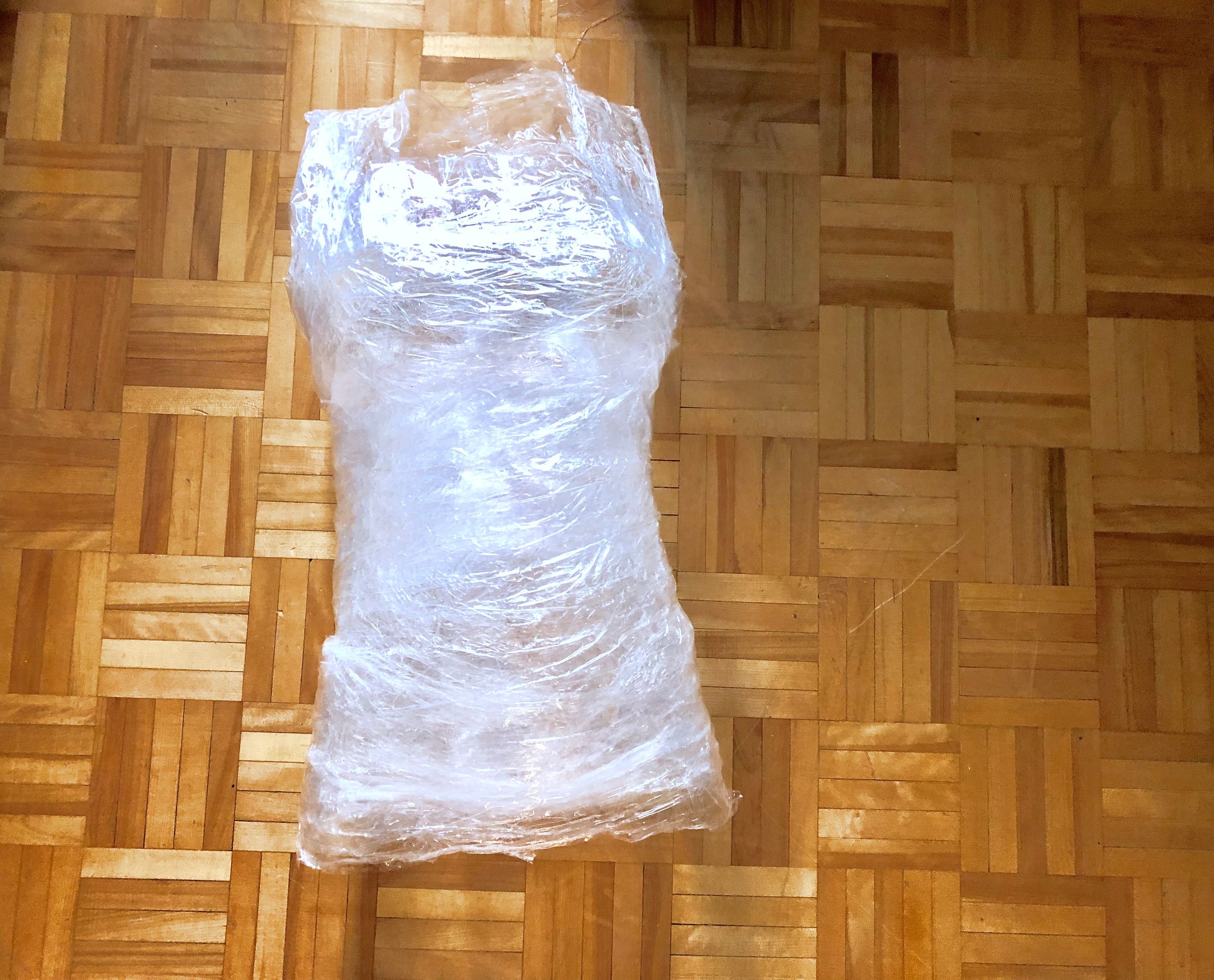 Human Packing Tape Sculpture : 8 Steps - Instructables