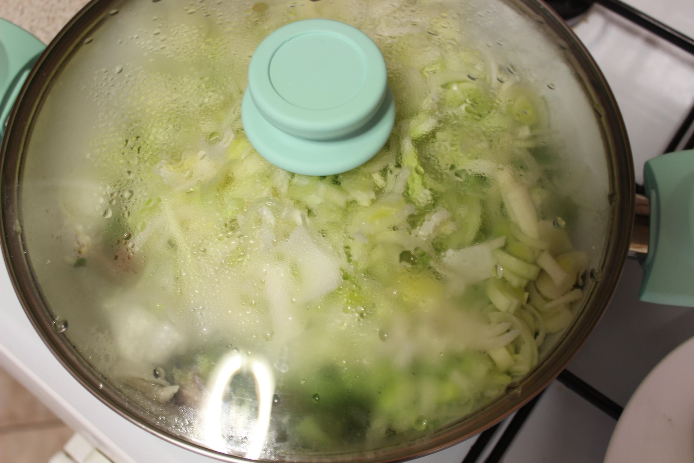 One Pot Leek Pan : 5 Steps (with Pictures) - Instructables