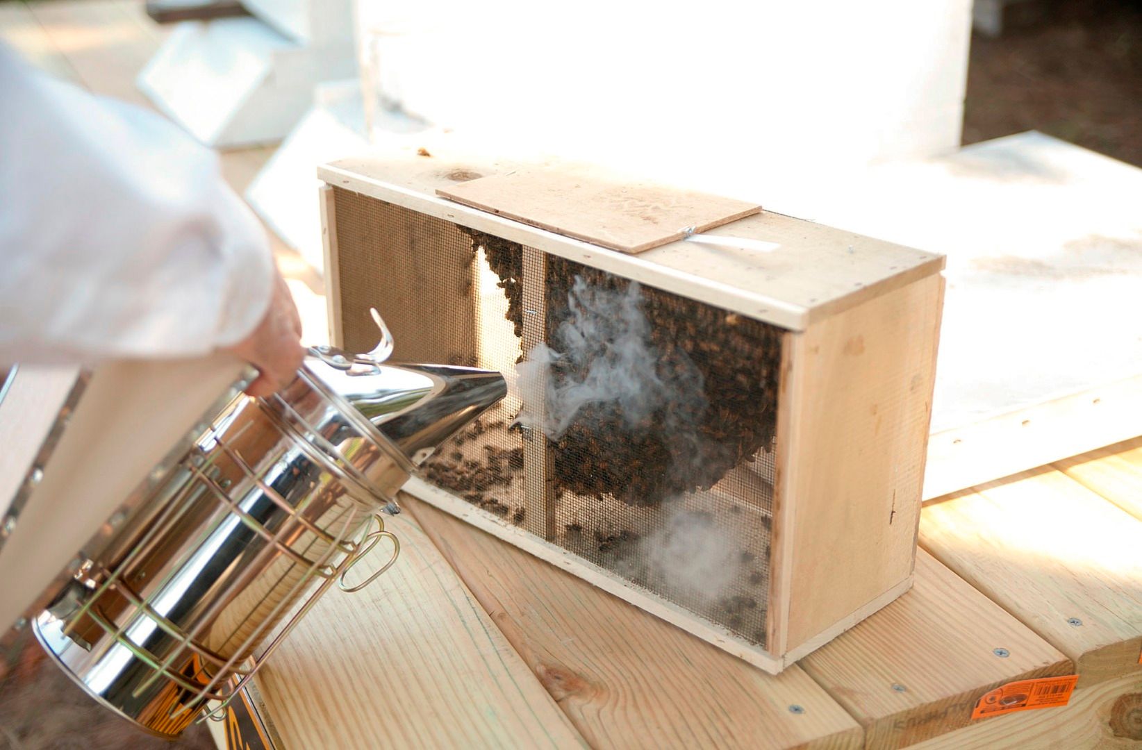 Start a Back Yard Honey Bee Hive : 10 Steps (with Pictures) - Instructables