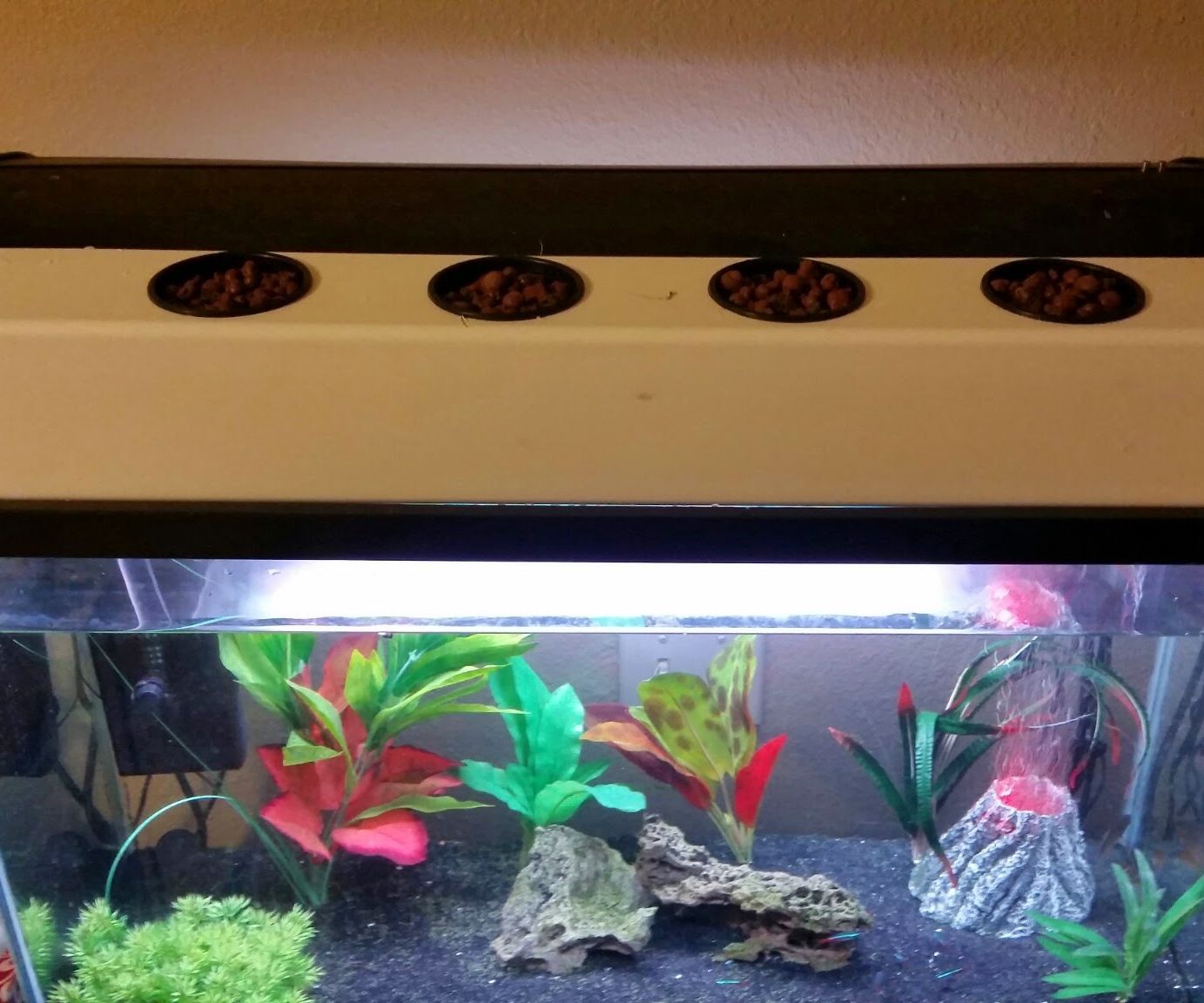 Aquaponic Fish Tank Topper : 8 Steps (with Pictures) - Instructables