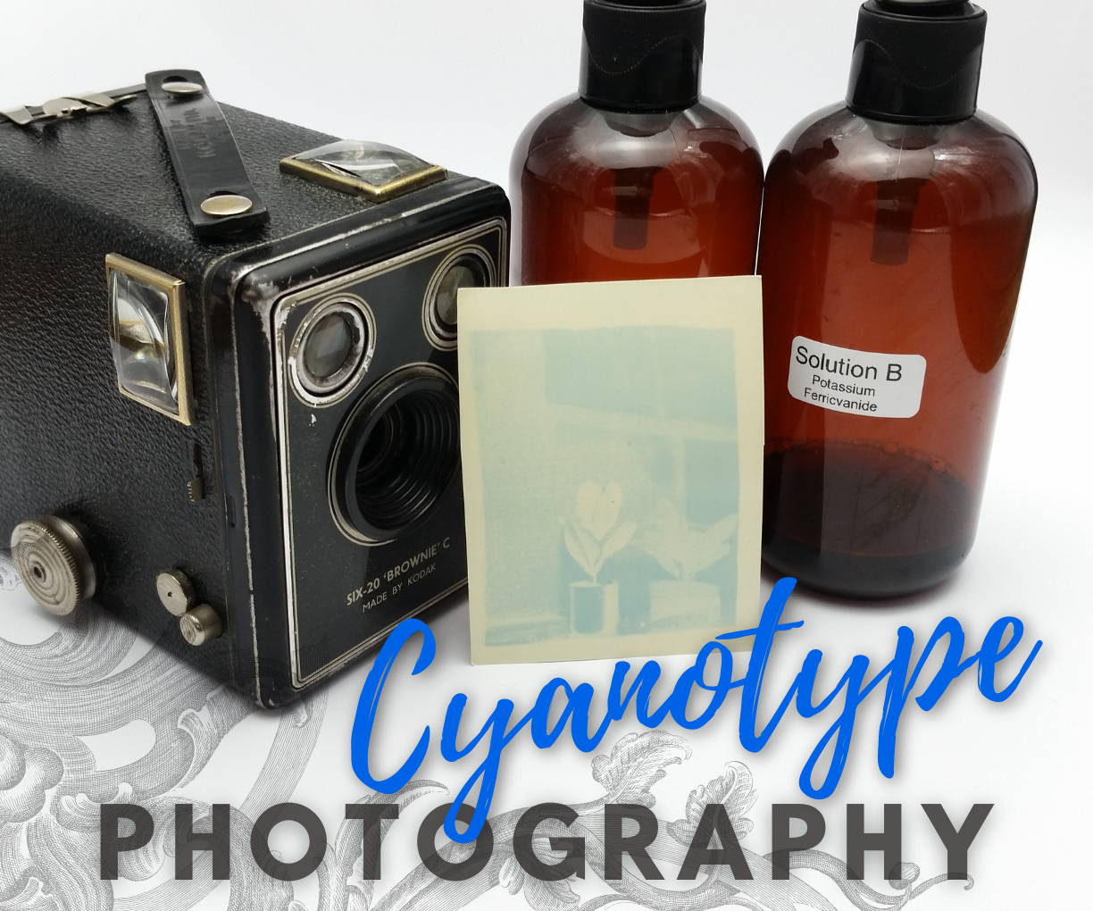 Cyanotype Photography Using a Box Camera : 10 Steps (with Pictures ...