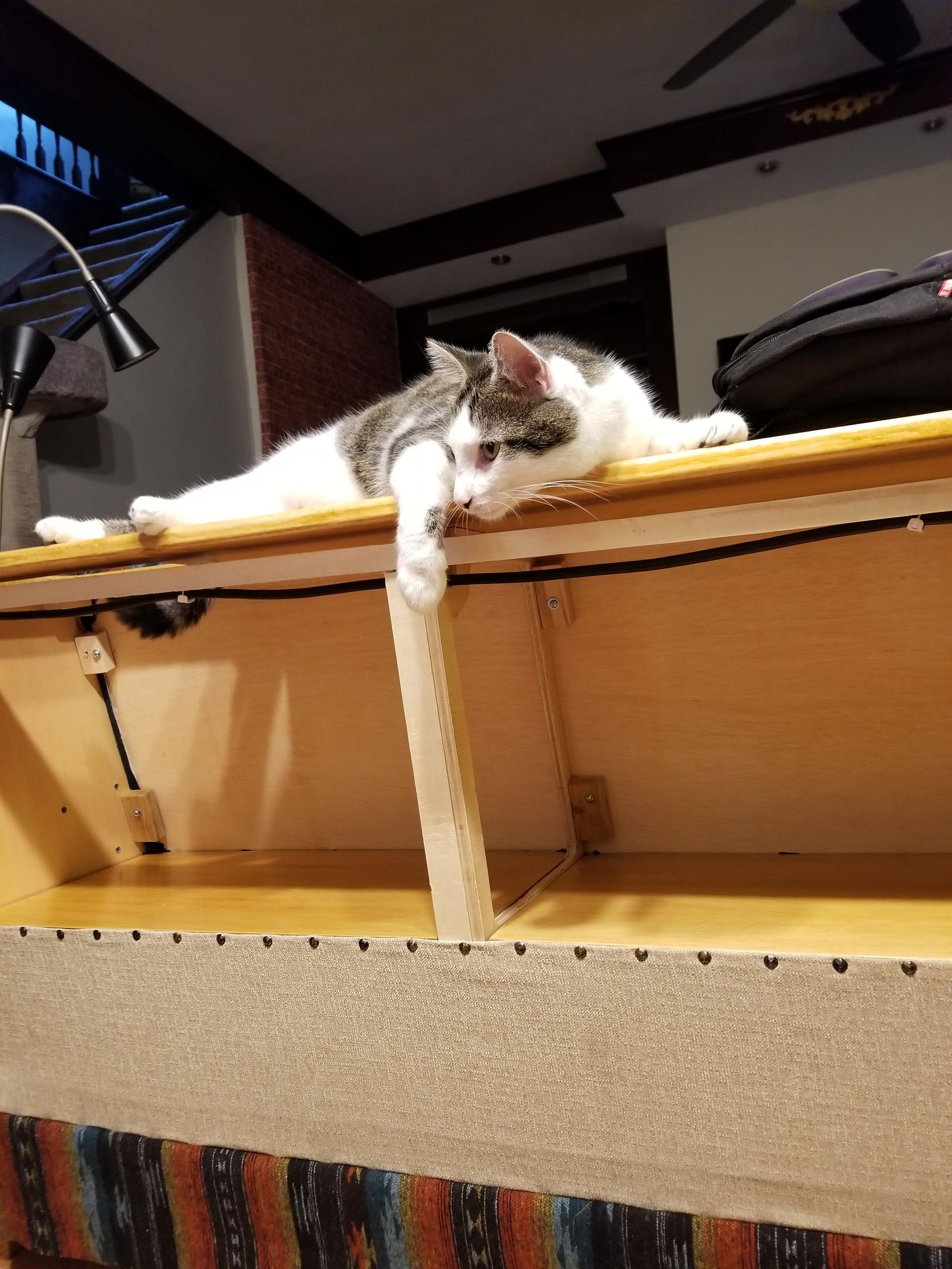 Couch Hack for Your Cat : 14 Steps (with Pictures) - Instructables