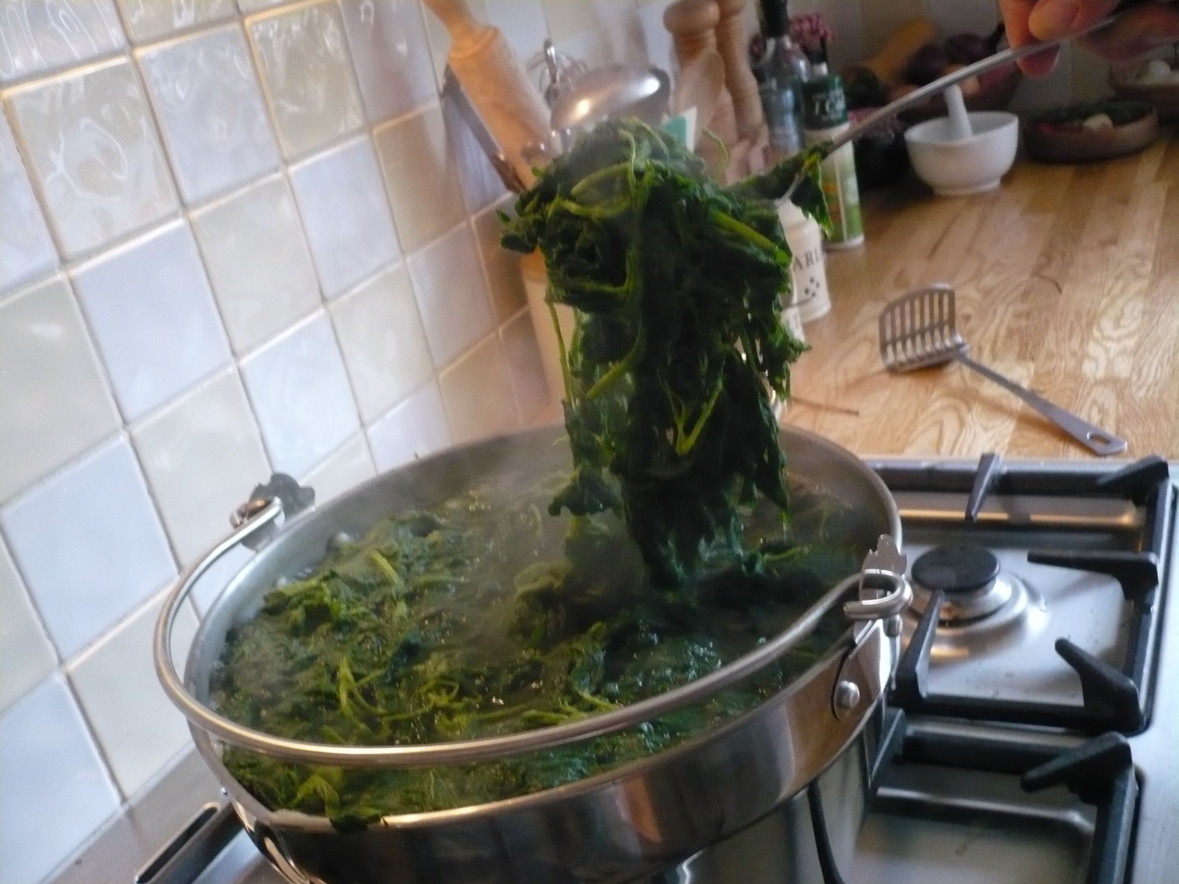 British - Stinging Nettle Beer : 8 Steps (with Pictures) - Instructables