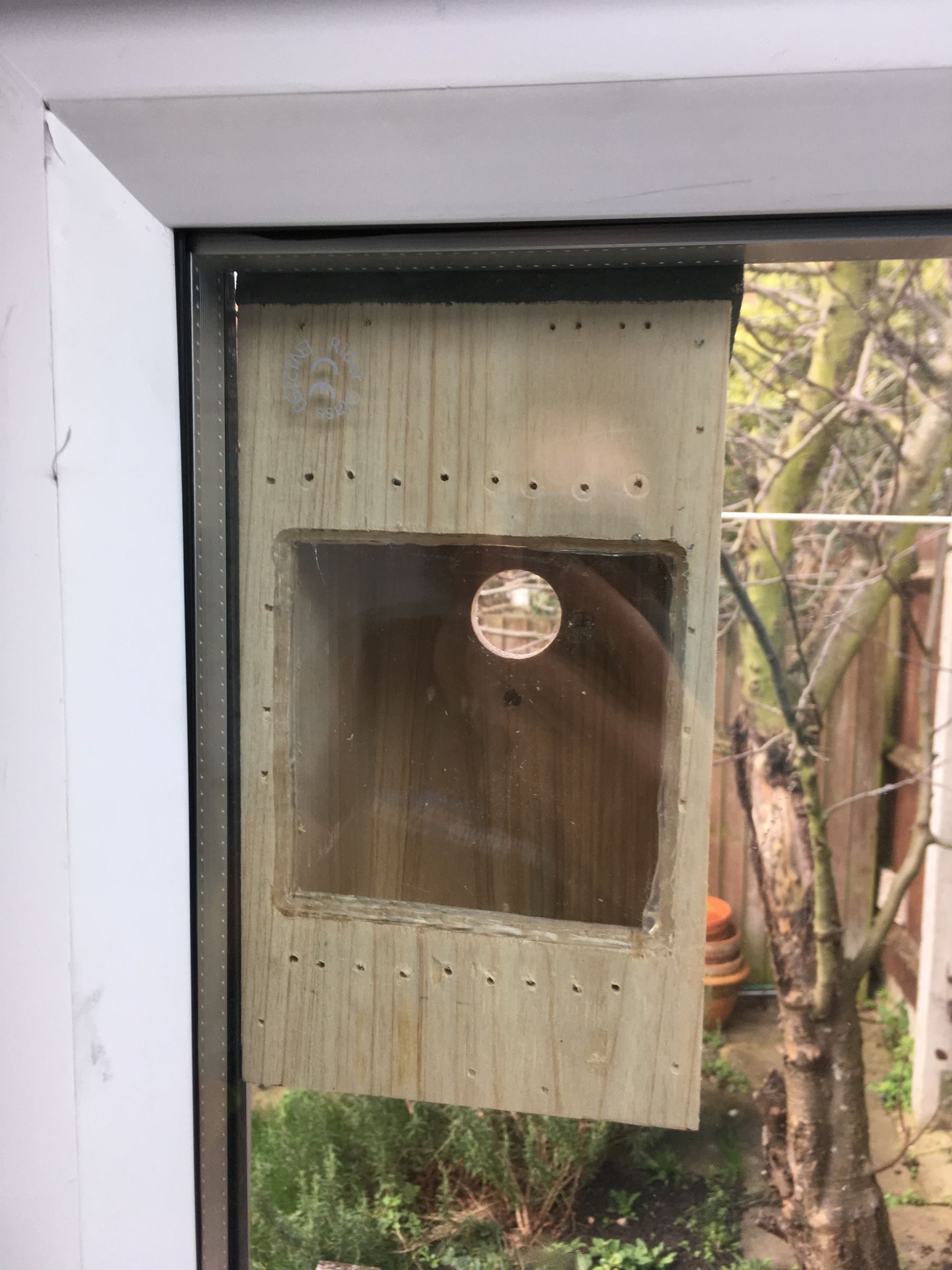 Make a WiFi Camera Bird Box - Cheepy Cheap! : 17 Steps (with Pictures ...