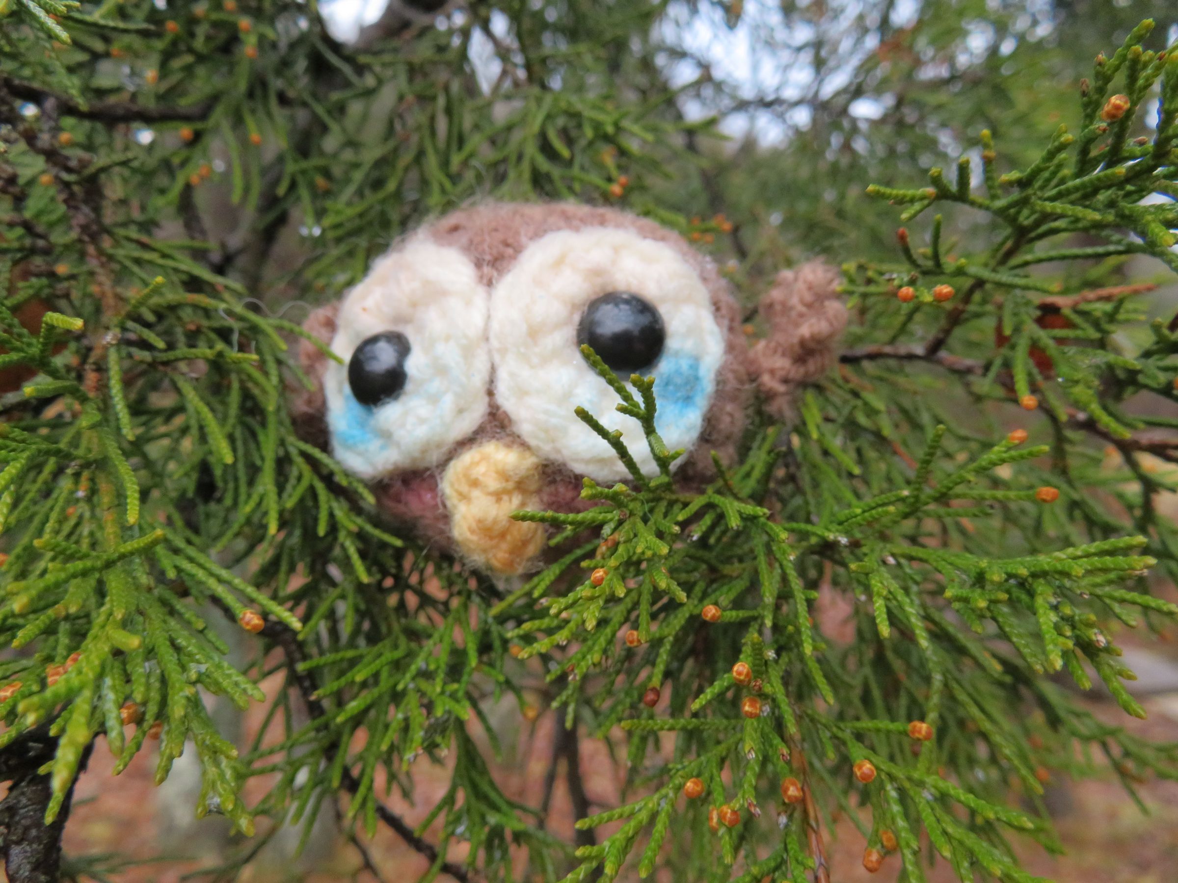 HOO Ever Made Such a Cute Owl : 15 Steps (with Pictures) - Instructables