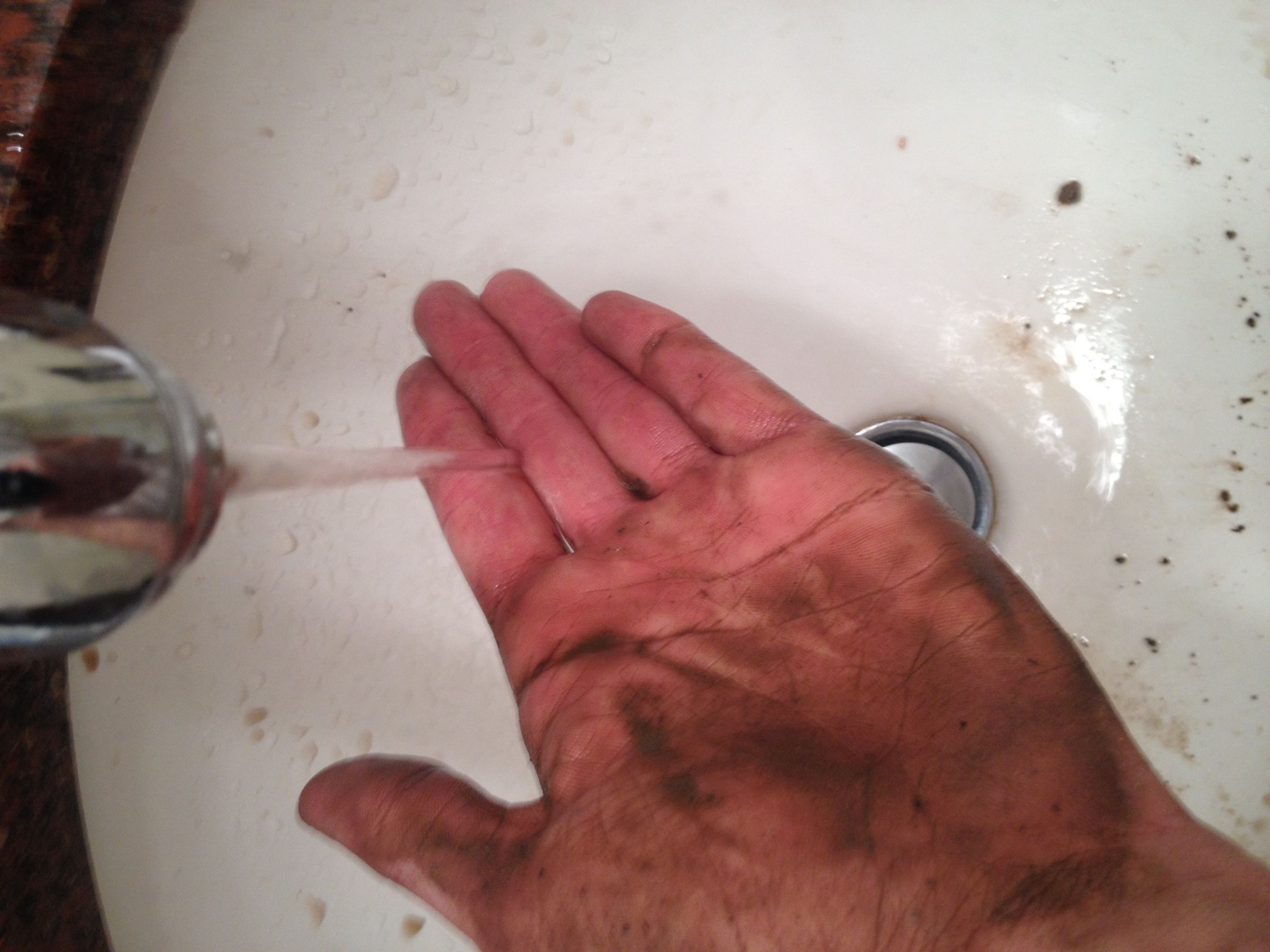 Clean Your Hands With Dirt! : 5 Steps (with Pictures) - Instructables