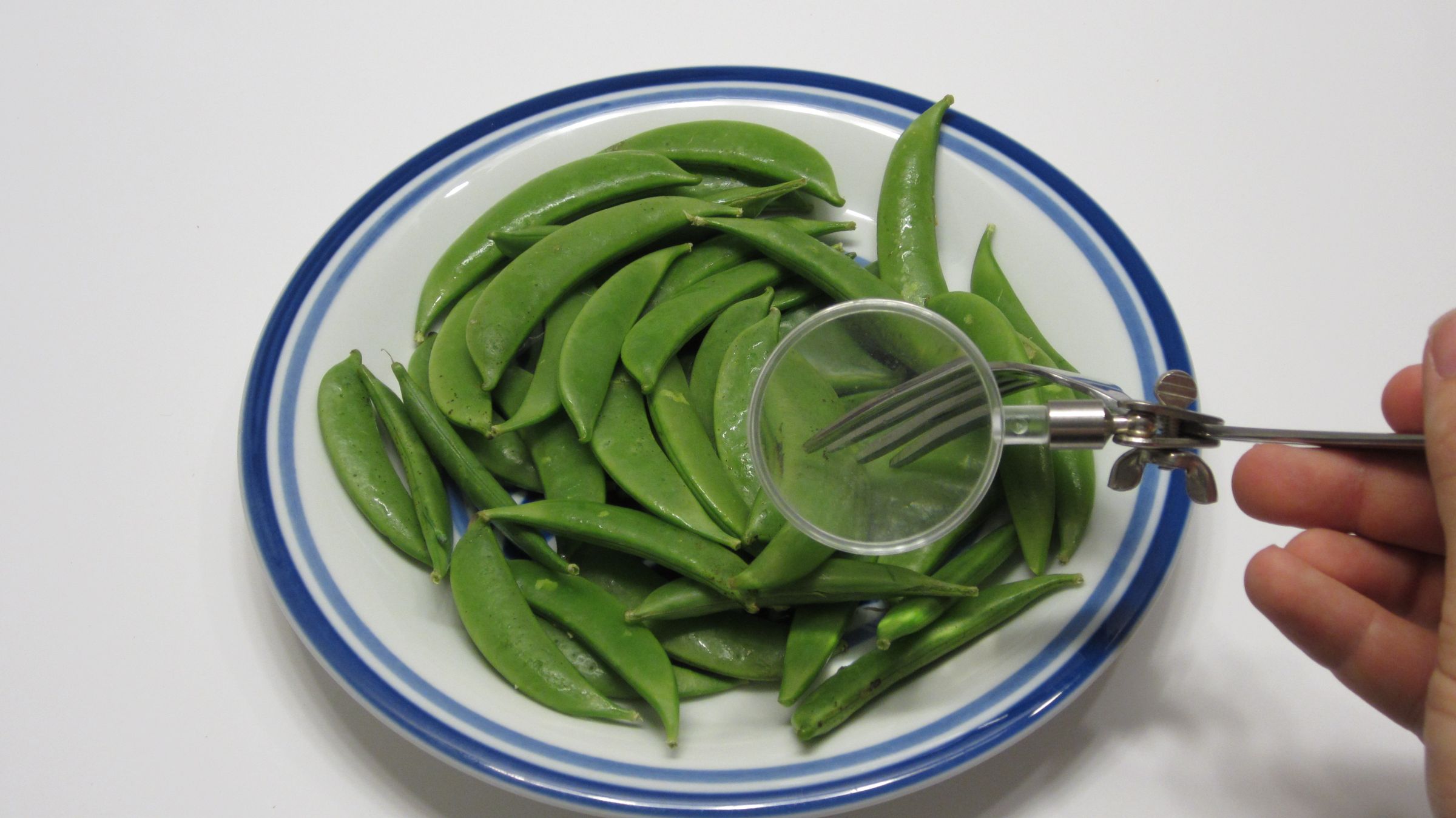 Chindogu: Food Magnifier (with Pictures) - Instructables