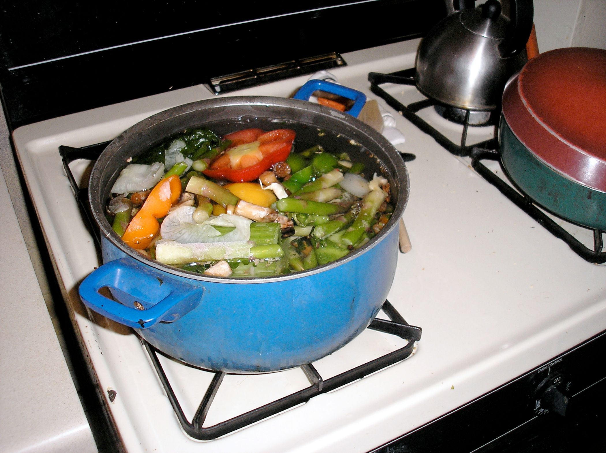 Vegetable Stock/Bullion : 6 Steps (with Pictures) - Instructables