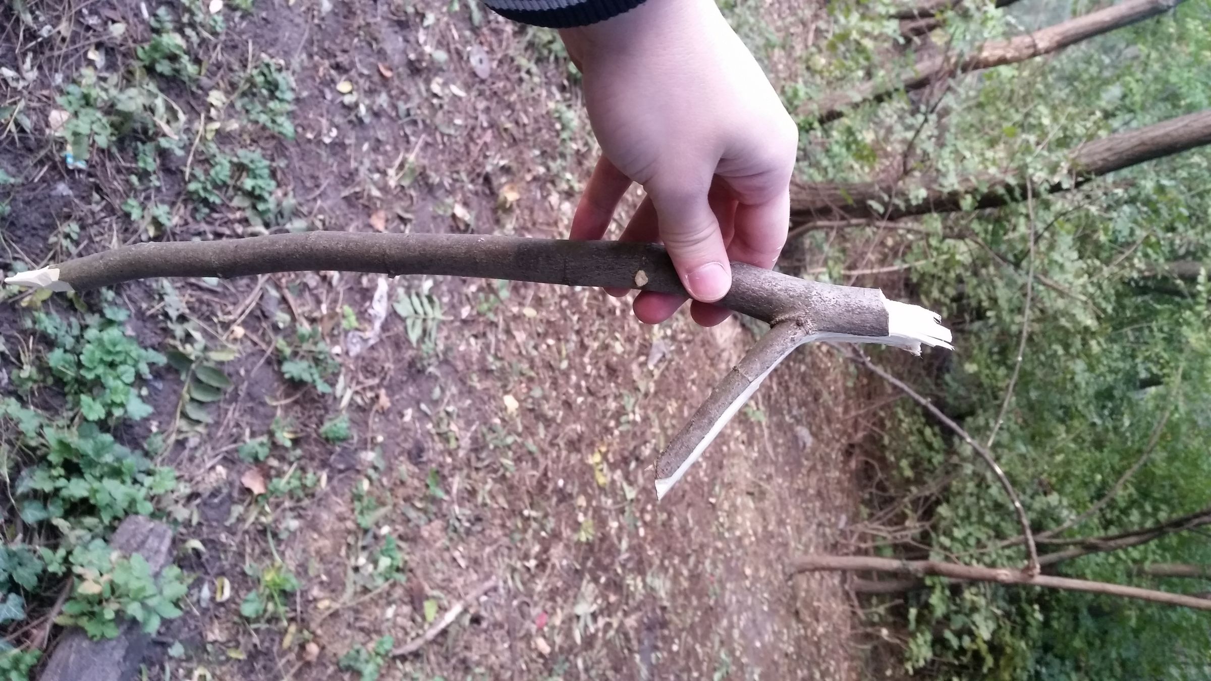 Primitive Smart Fishing : 8 Steps (with Pictures) - Instructables