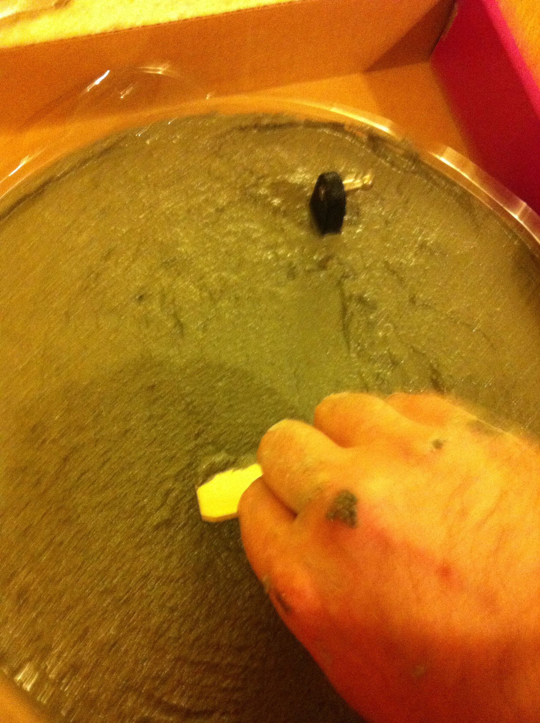 SunDial Cannon : 7 Steps - Instructables