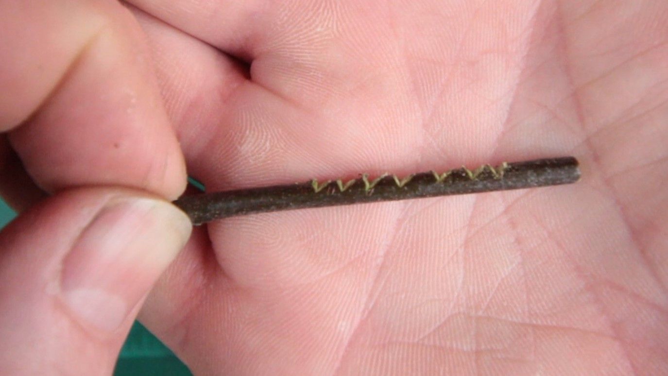 Tiny Gee Haw Whimmy Diddle : 12 Steps (with Pictures) - Instructables