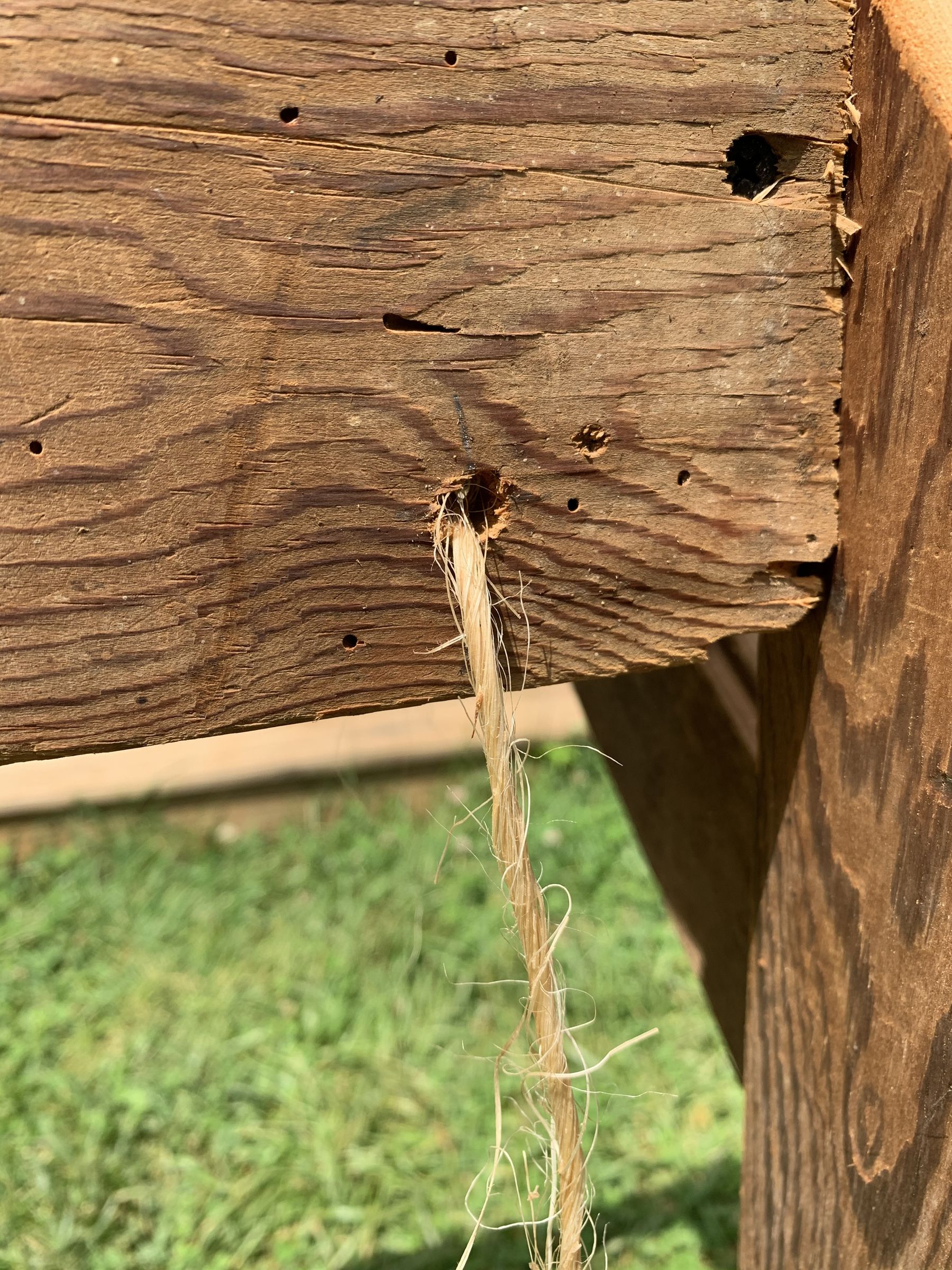 Chicken Playground : 20 Steps (with Pictures) - Instructables