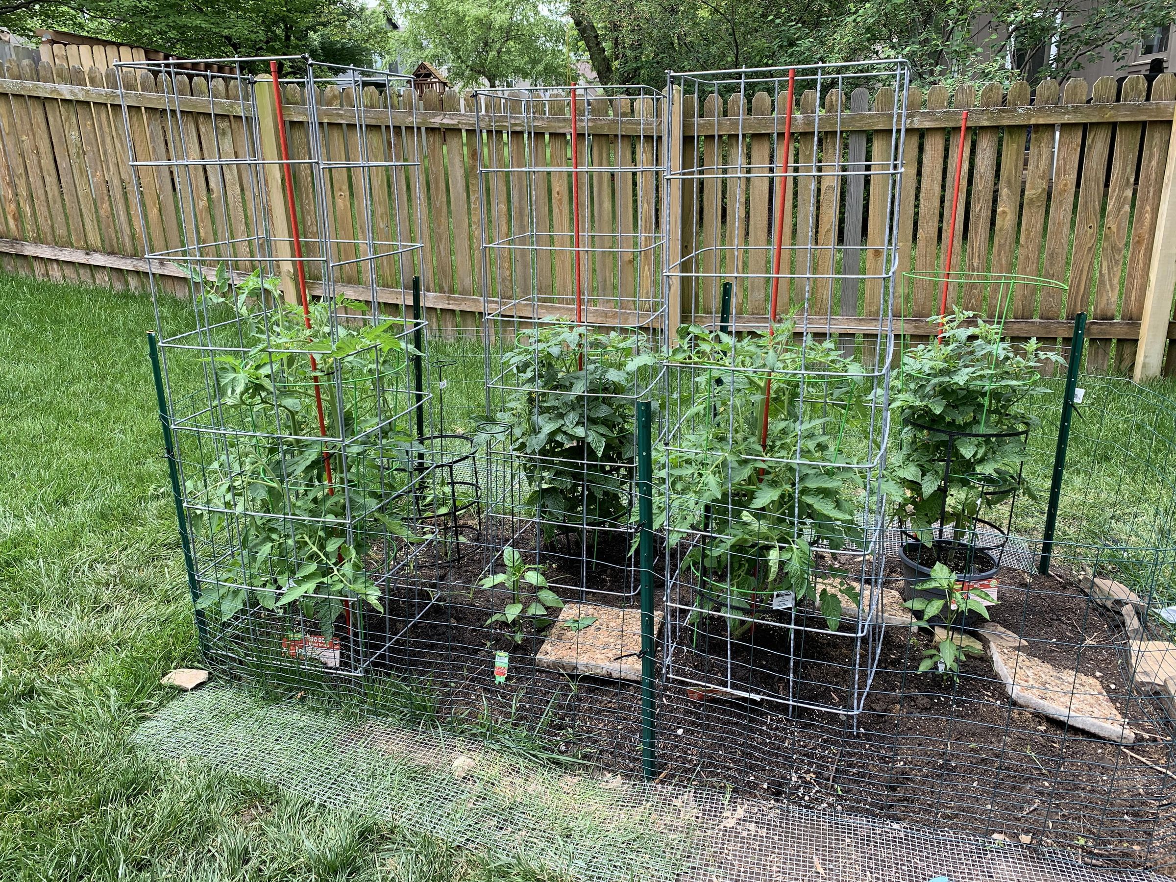 Build the Best Tomato Cages Ever! : 5 Steps (with Pictures) - Instructables