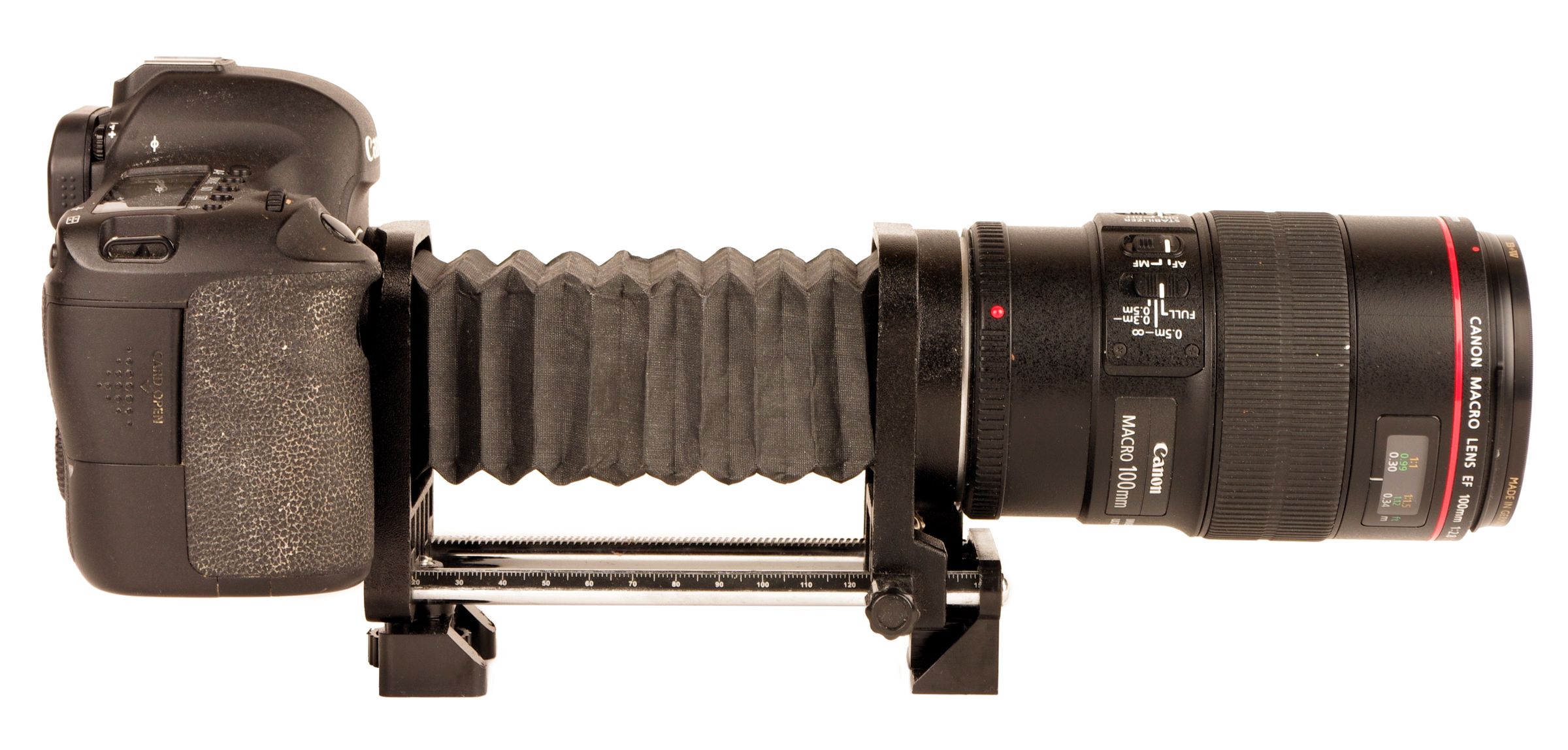 DSLR Microphotography : 12 Steps (with Pictures) - Instructables
