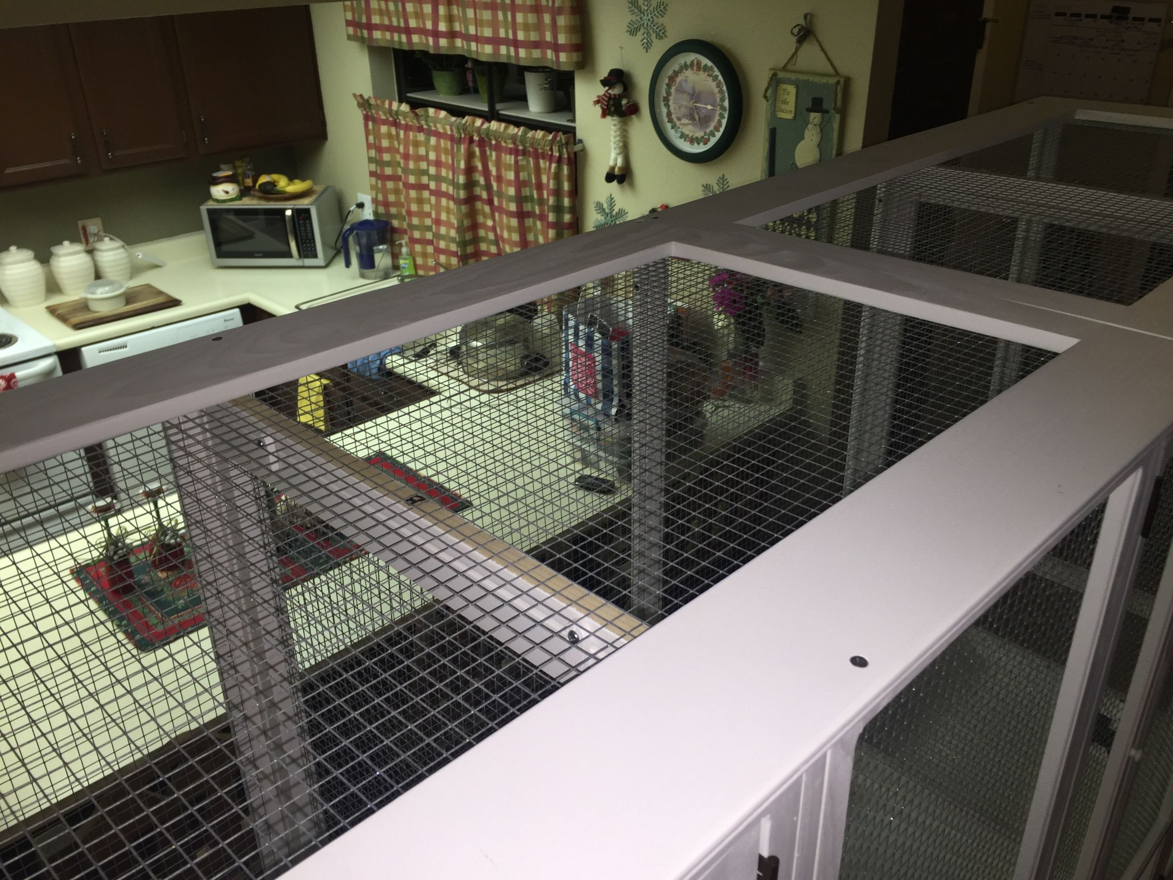 Linda's Flight Cage : 4 Steps (with Pictures) - Instructables