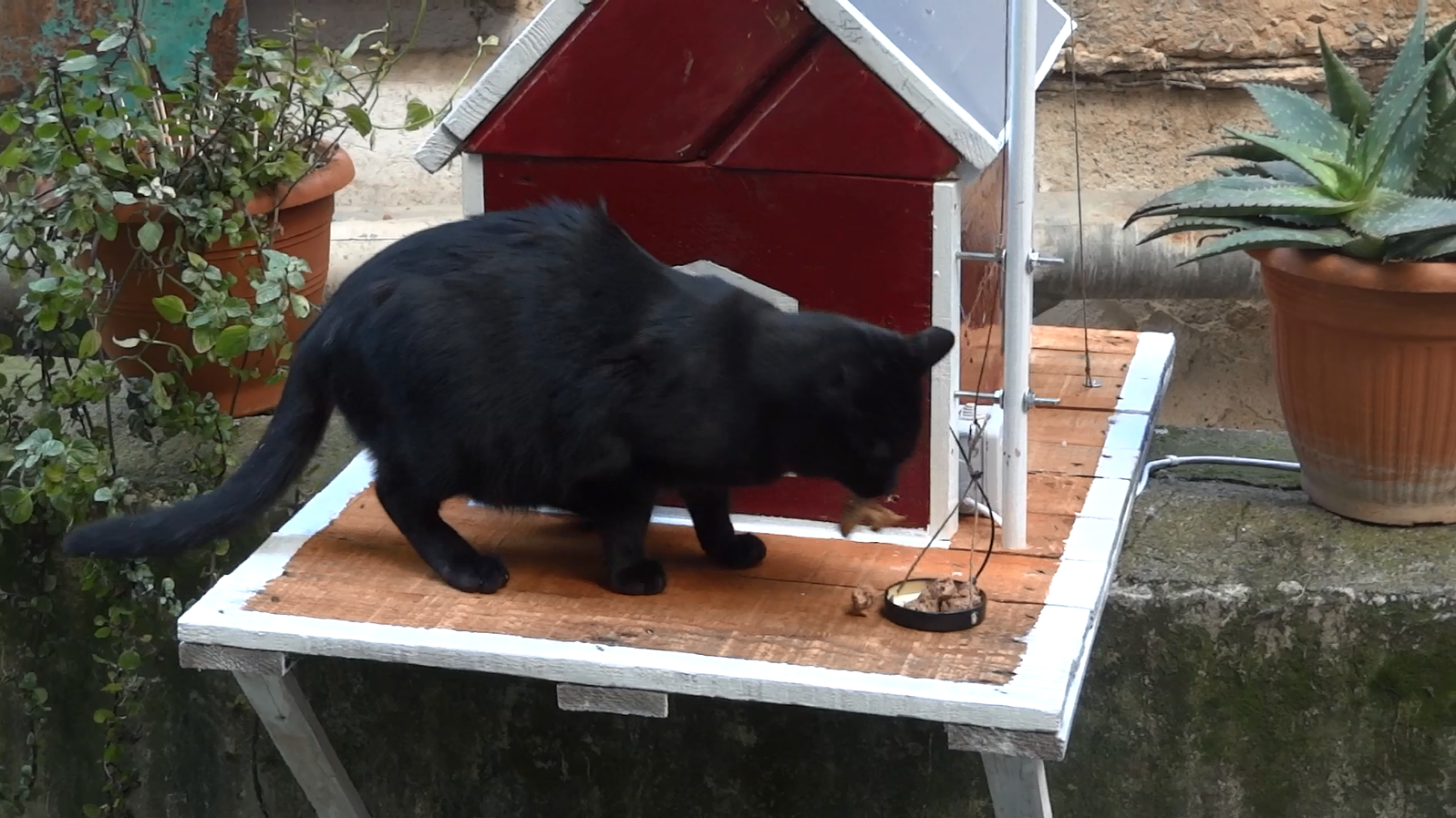 How to Make Amazing Stray Cat House From Wooden Pallets. Heated Pillow ...