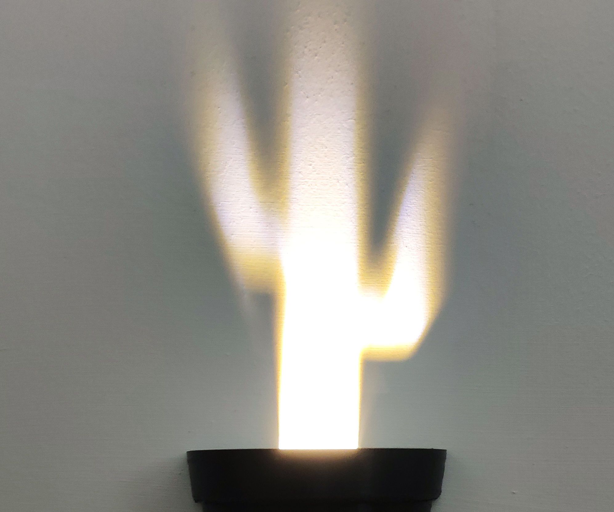 Make a "vibrant" Light Shadow Potted Plant : 4 Steps - Instructables