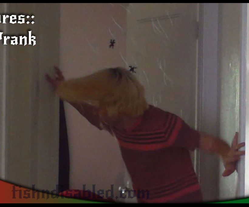 Spider Web Prank + Bonus Prank : 11 Steps - Instructables