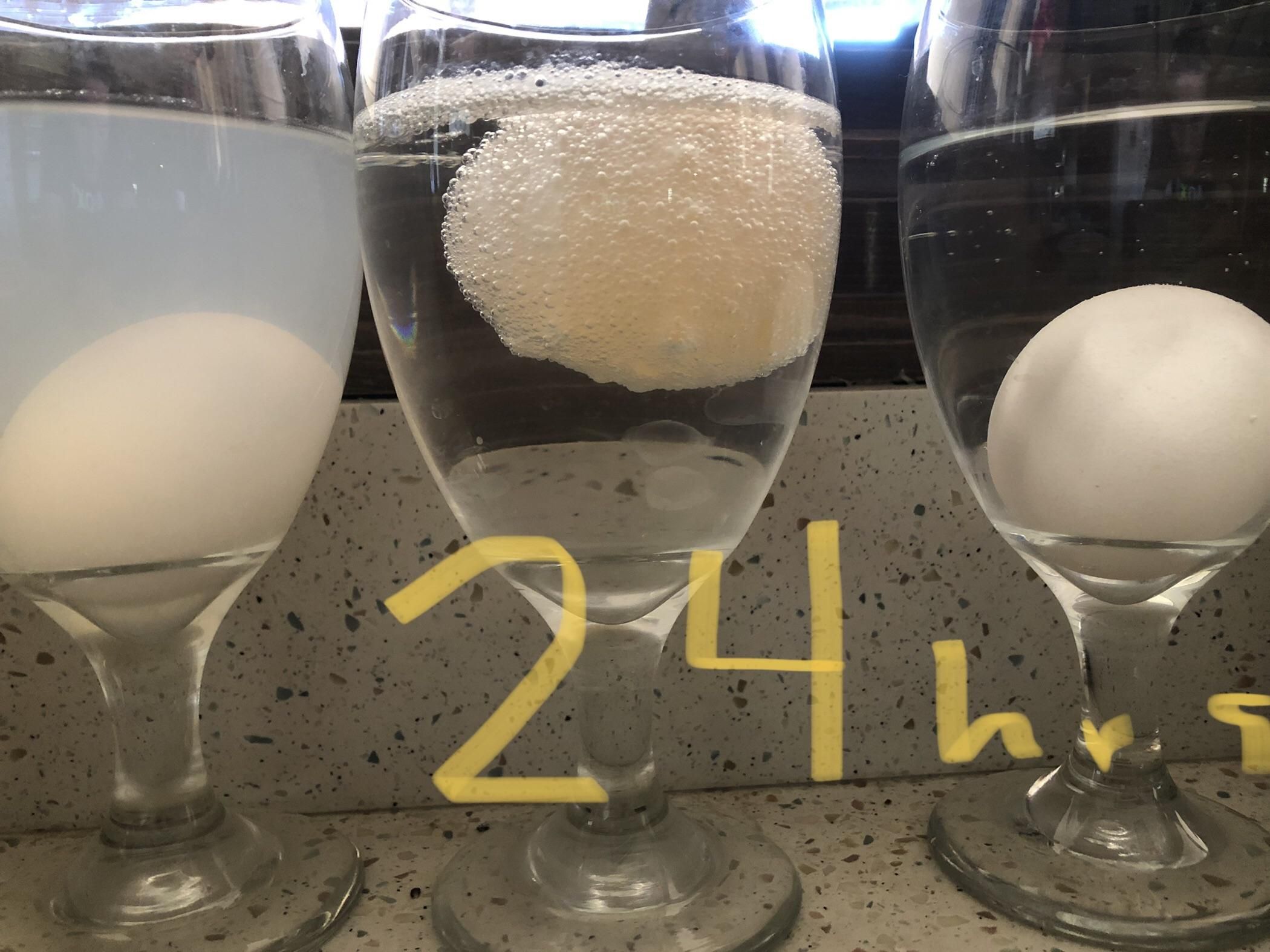 Naked Egg Experiment and Cleaning Hard Water Spots : 4 Steps (with ...