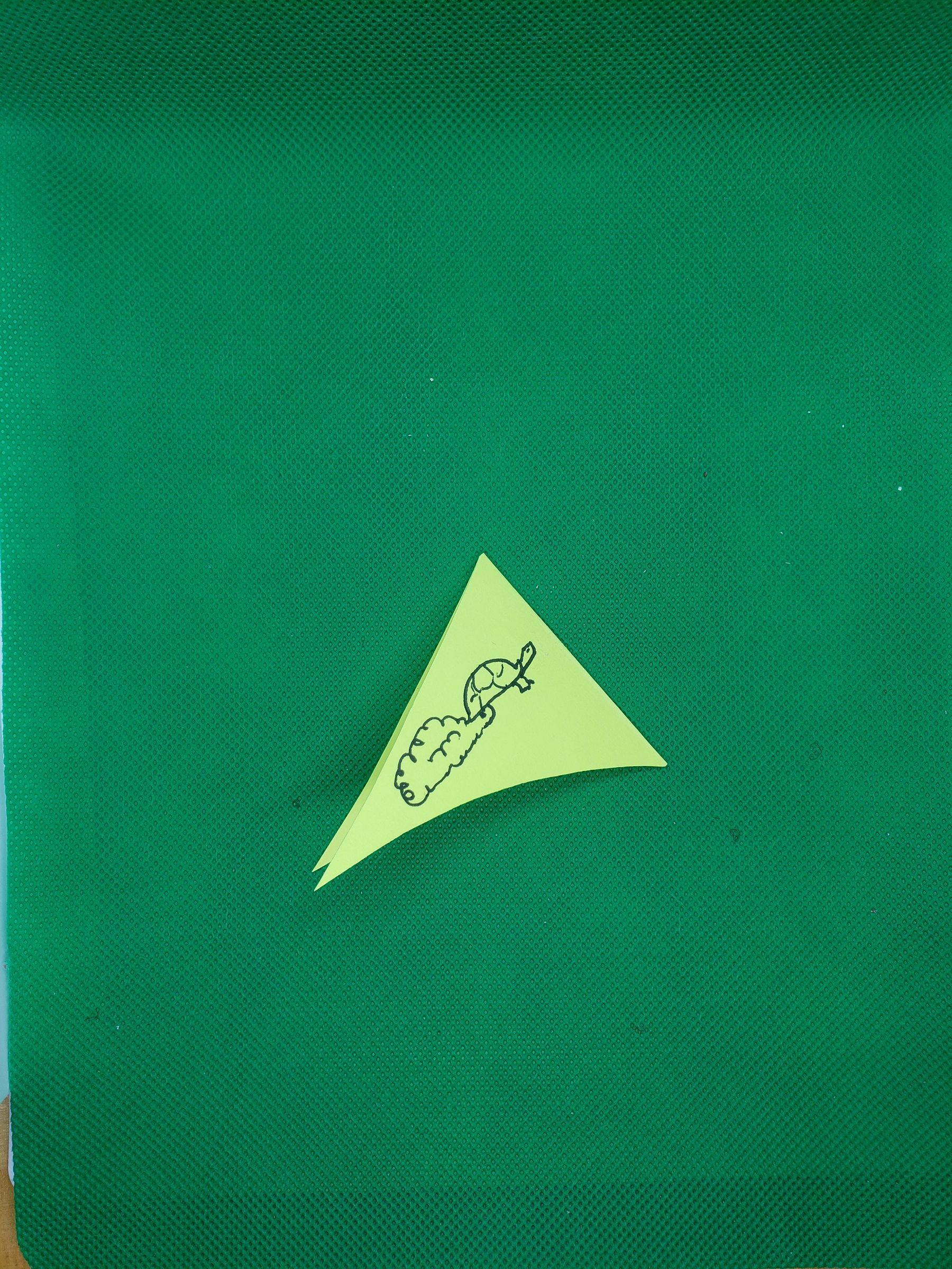 Wandering Tortoise Flag : 4 Steps - Instructables