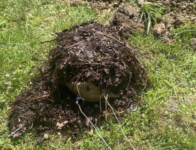 Paper Bag Pig in the Ground : 10 Steps (with Pictures) - Instructables