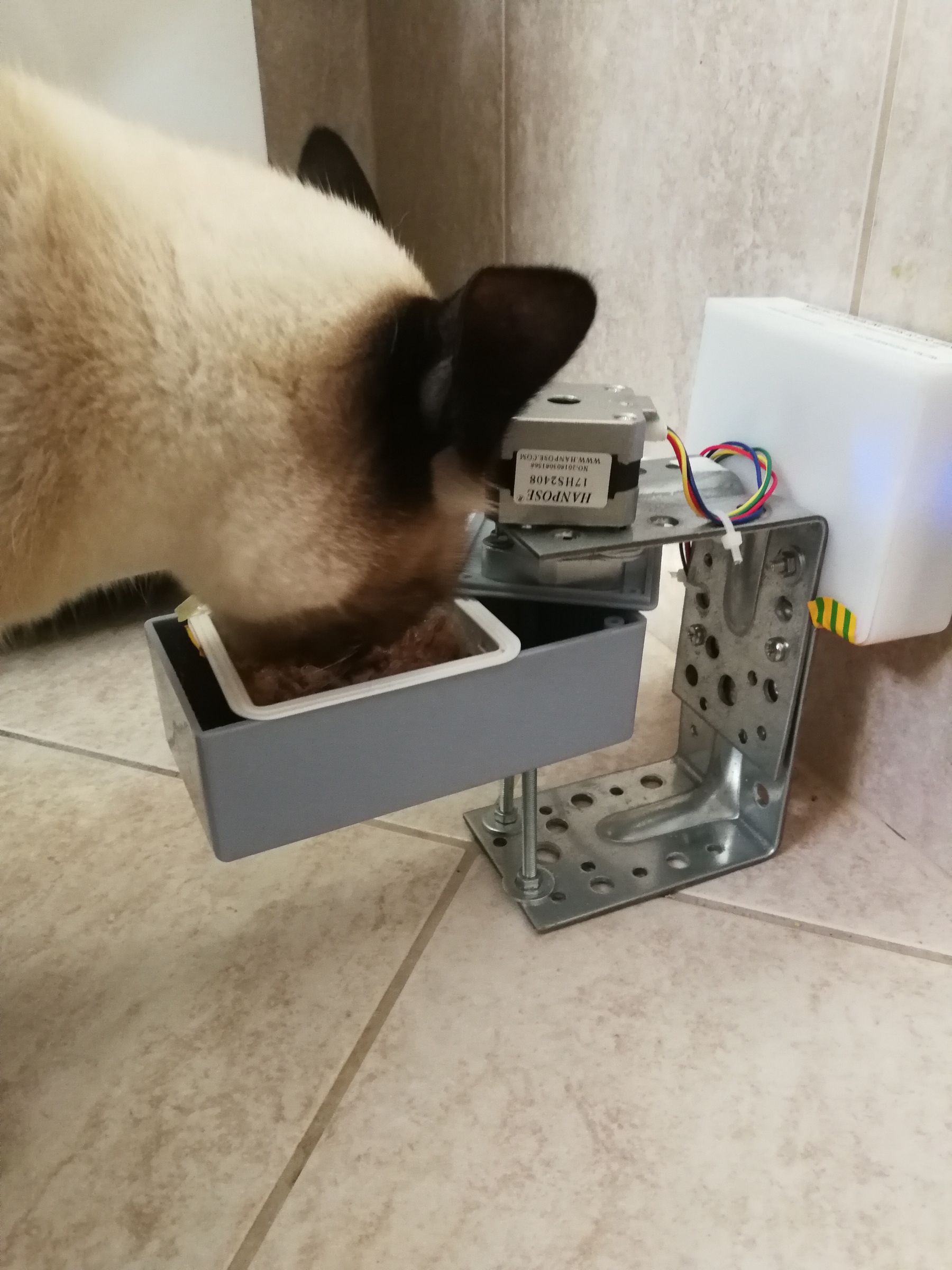 Simple Automatic Cat Feeder : 4 Steps - Instructables