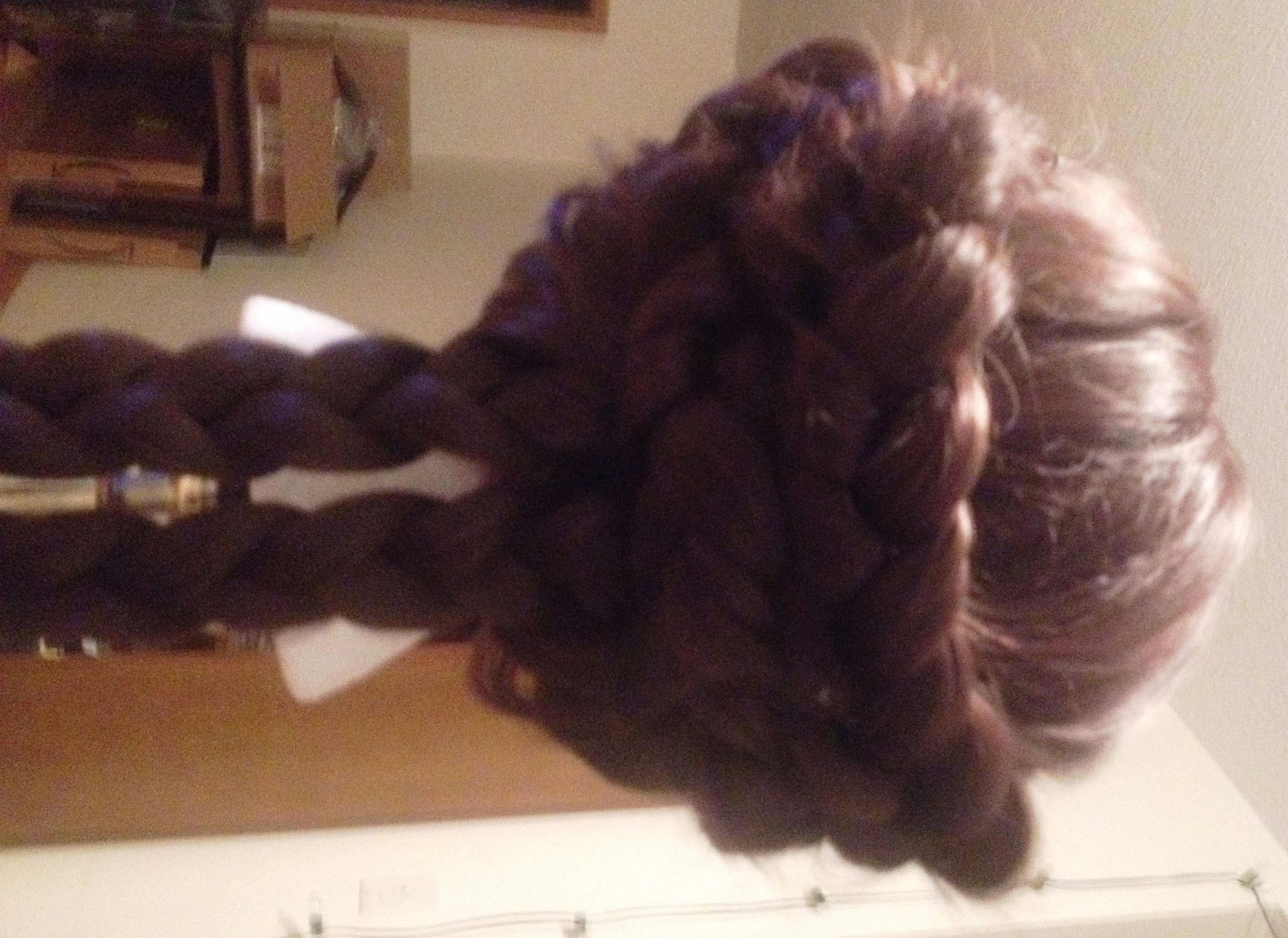 Ultimate Braid Crown : 7 Steps - Instructables