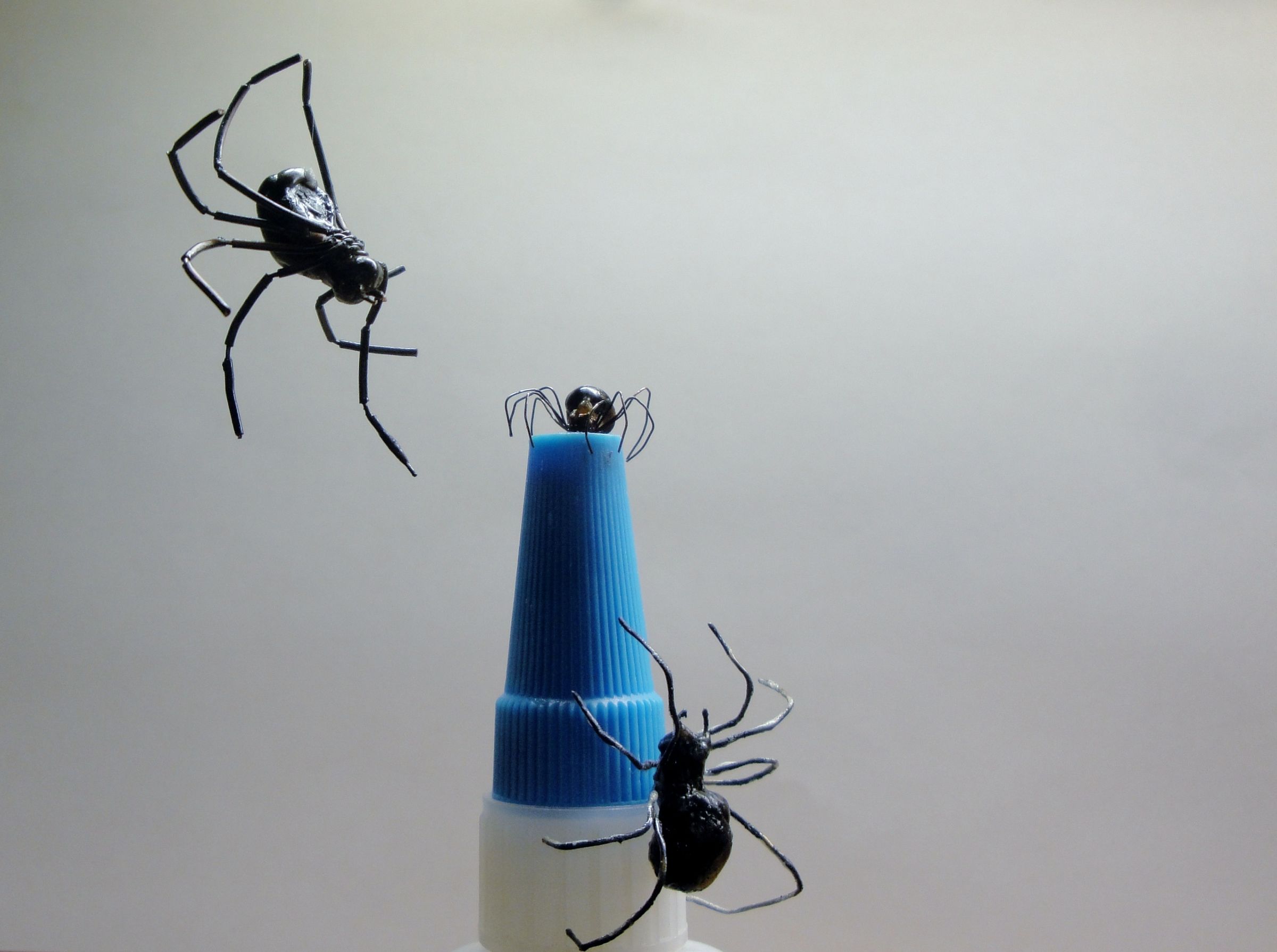 Realistic Spider (Life-Size Prop) : 7 Steps (with Pictures) - Instructables