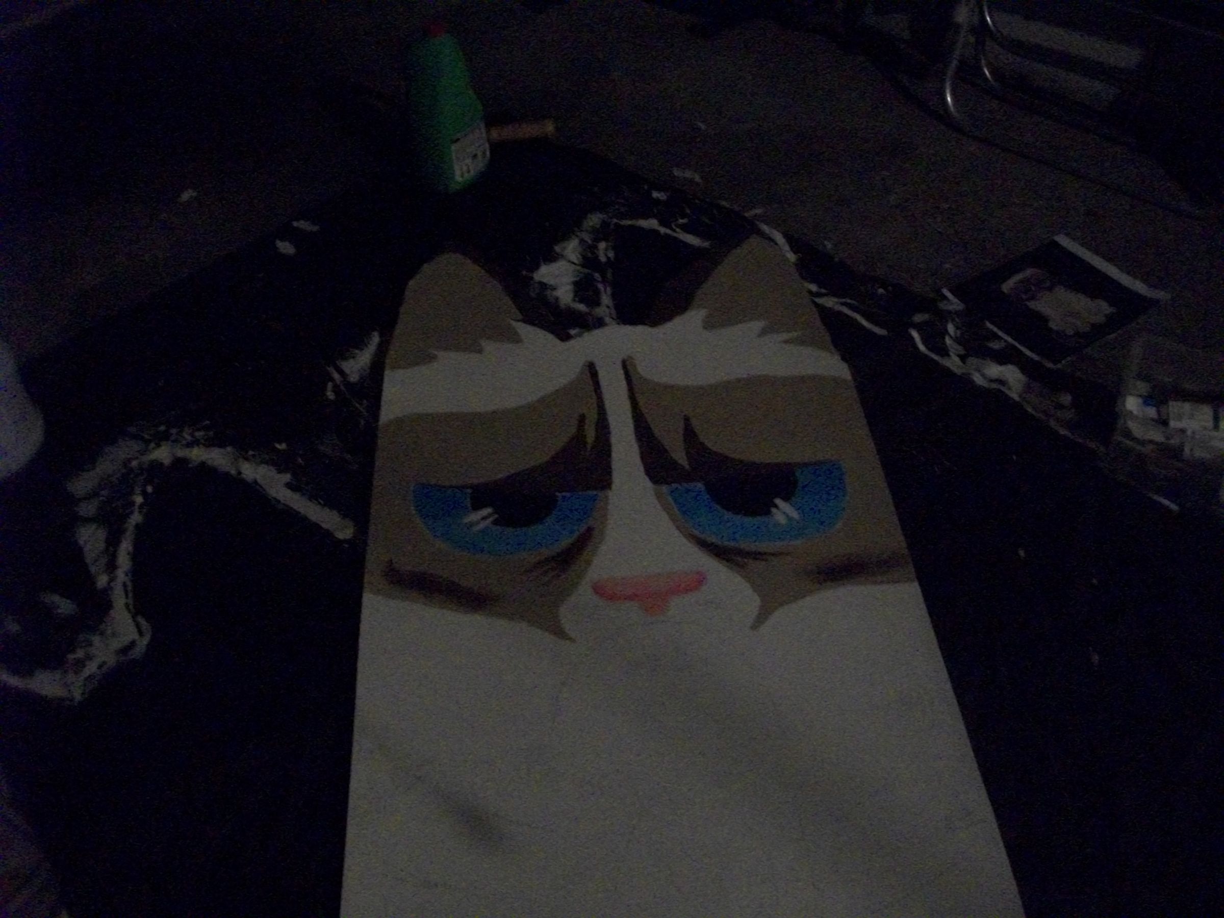 Diy Grumpy Cat Costume