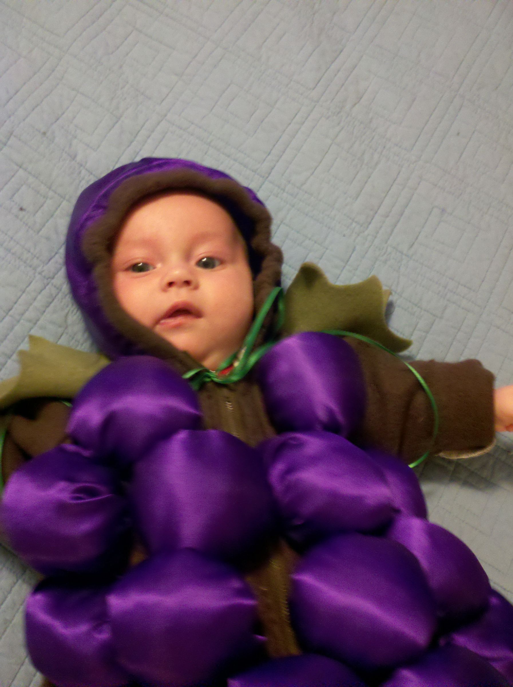 Infant Bundle of Grapes Costume : 6 Steps - Instructables