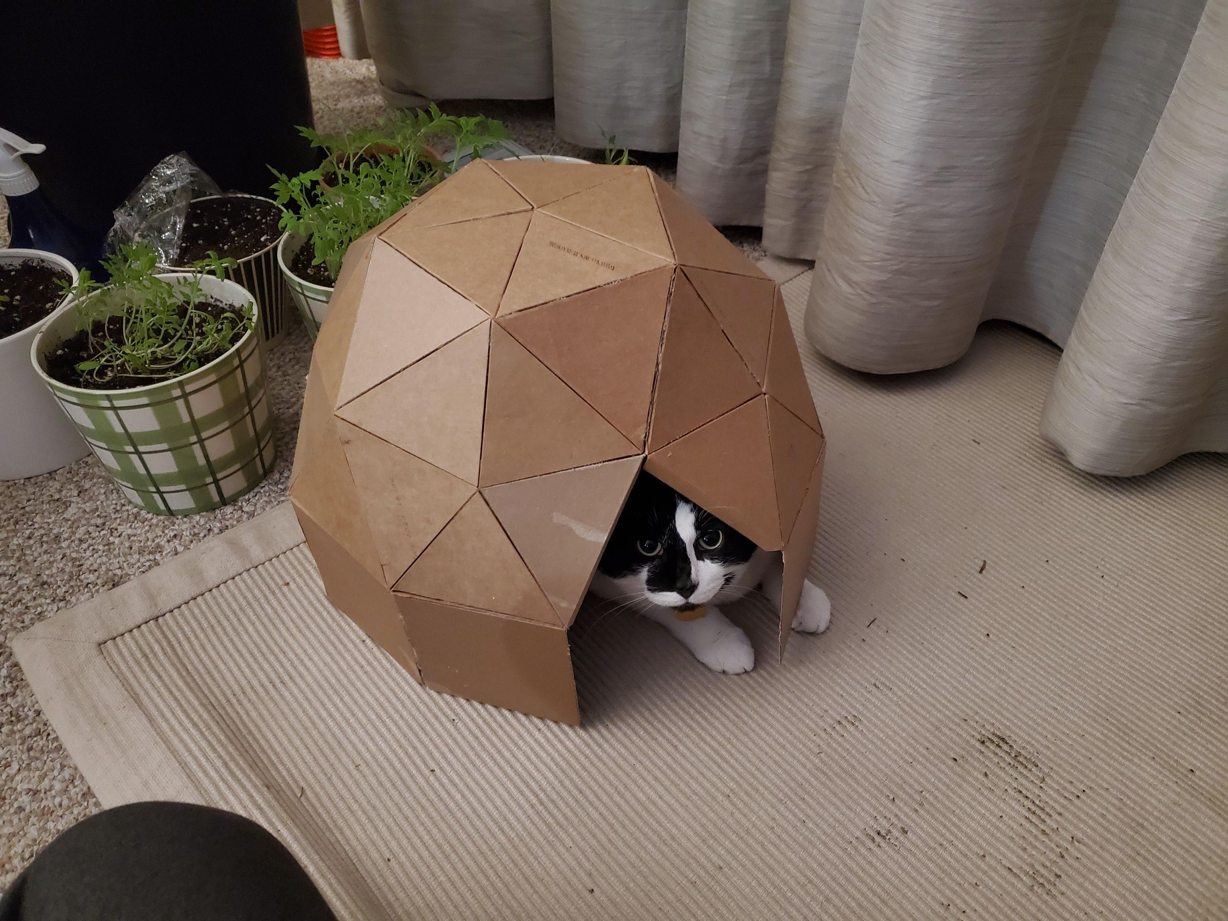 Cardboard Geodesic Dome : 7 Steps (with Pictures) - Instructables
