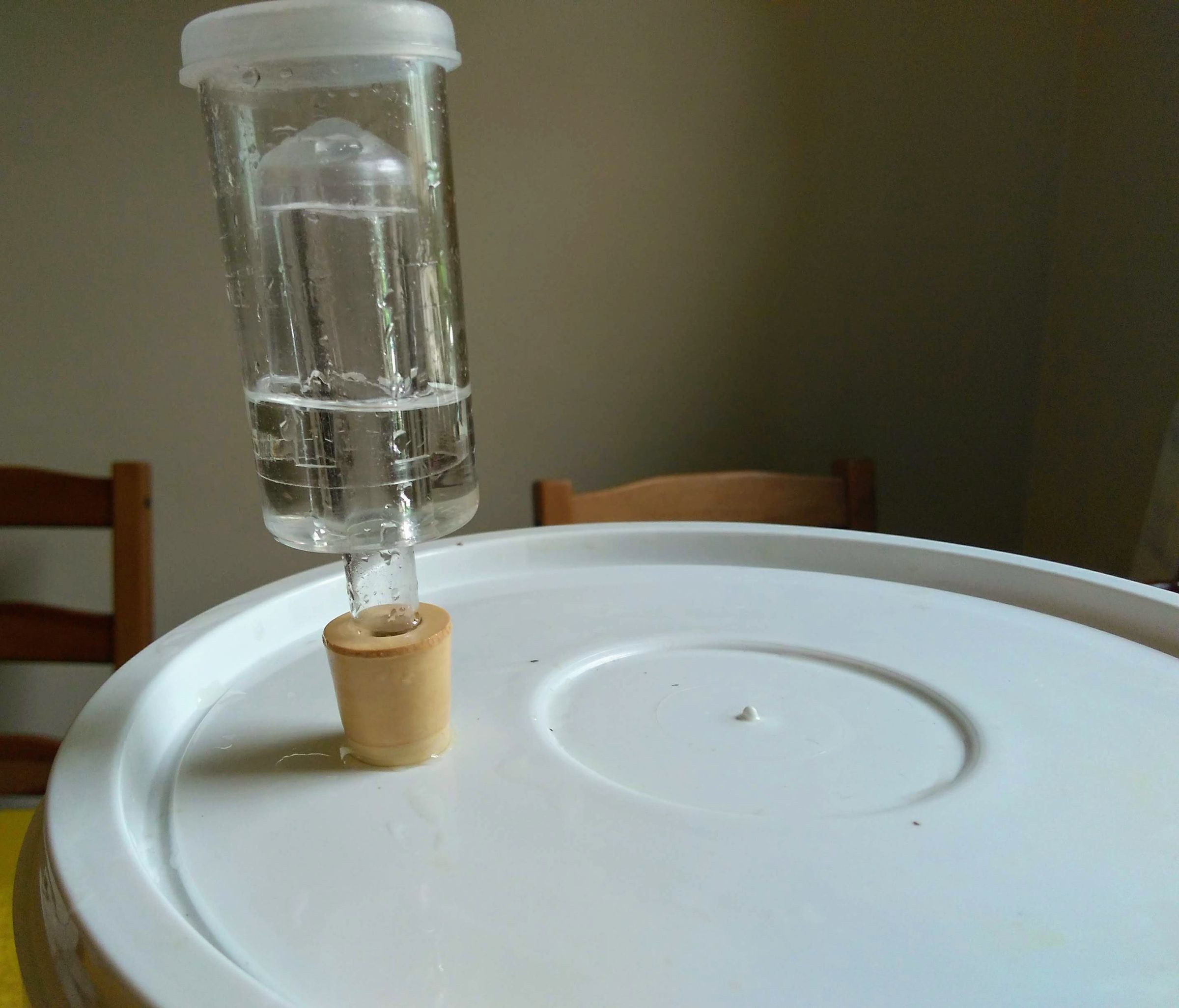 Bucket Pickles : 5 Steps (with Pictures) - Instructables