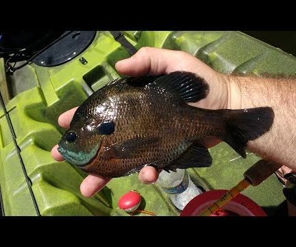 Fishing: Make a Drop Shot Rig for Panfish : 5 Steps (with Pictures ...