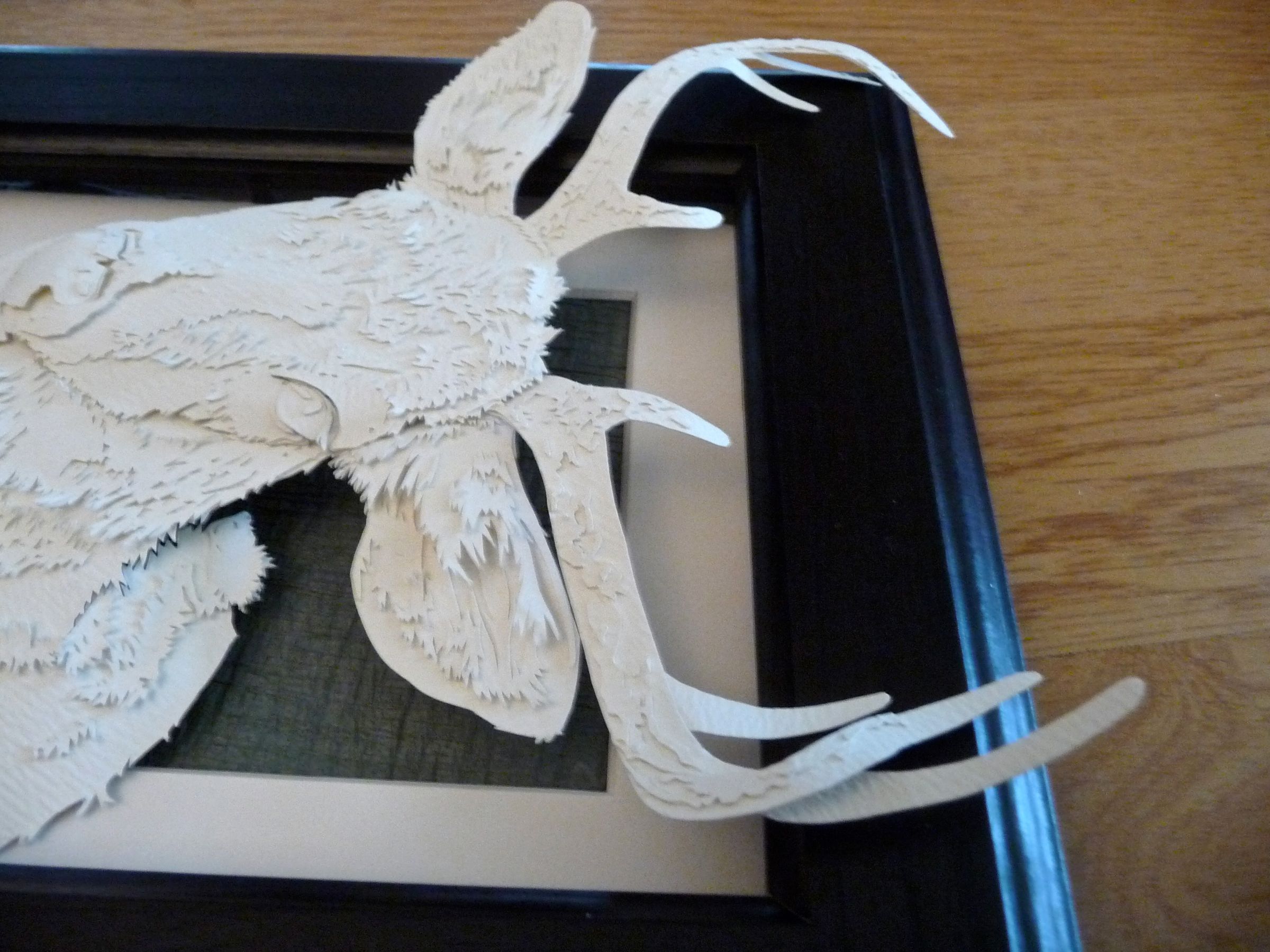 3D Layered Paper : 5 Steps (with Pictures) - Instructables